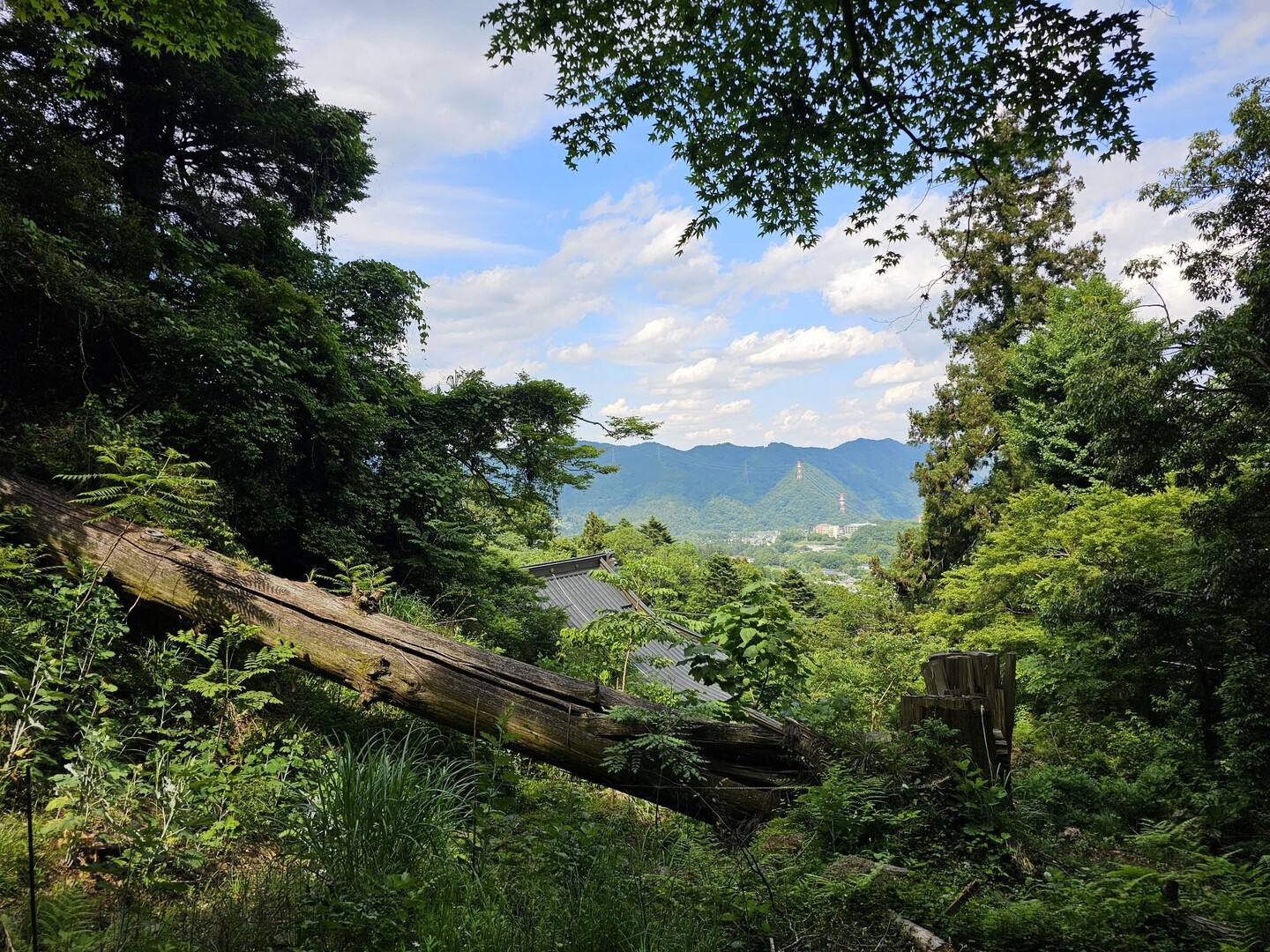 石老山 / naka-zさんの石老山・ 石砂山の活動データ | YAMAP / ヤマップ