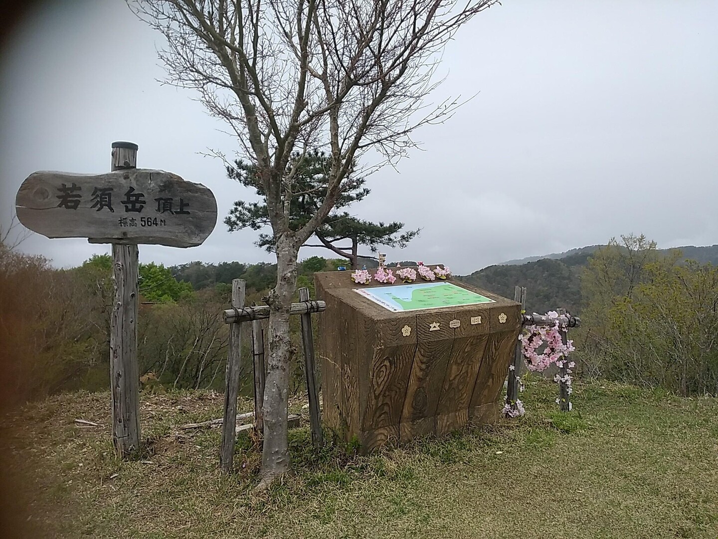 若須岳 / opal糸さんの若須岳の活動データ | YAMAP / ヤマップ