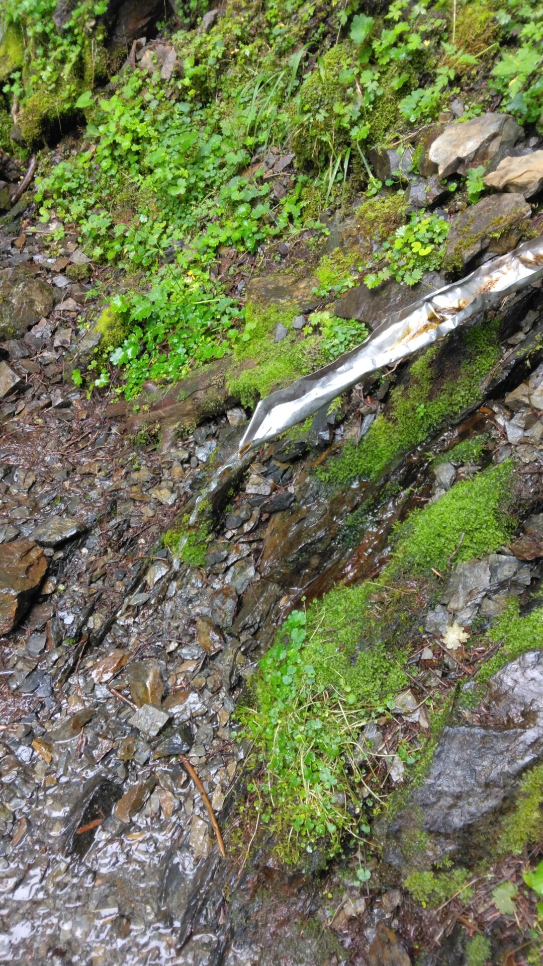 山の上のまっちゃんさんの投稿したフィールドメモ | YAMAP / ヤマップ