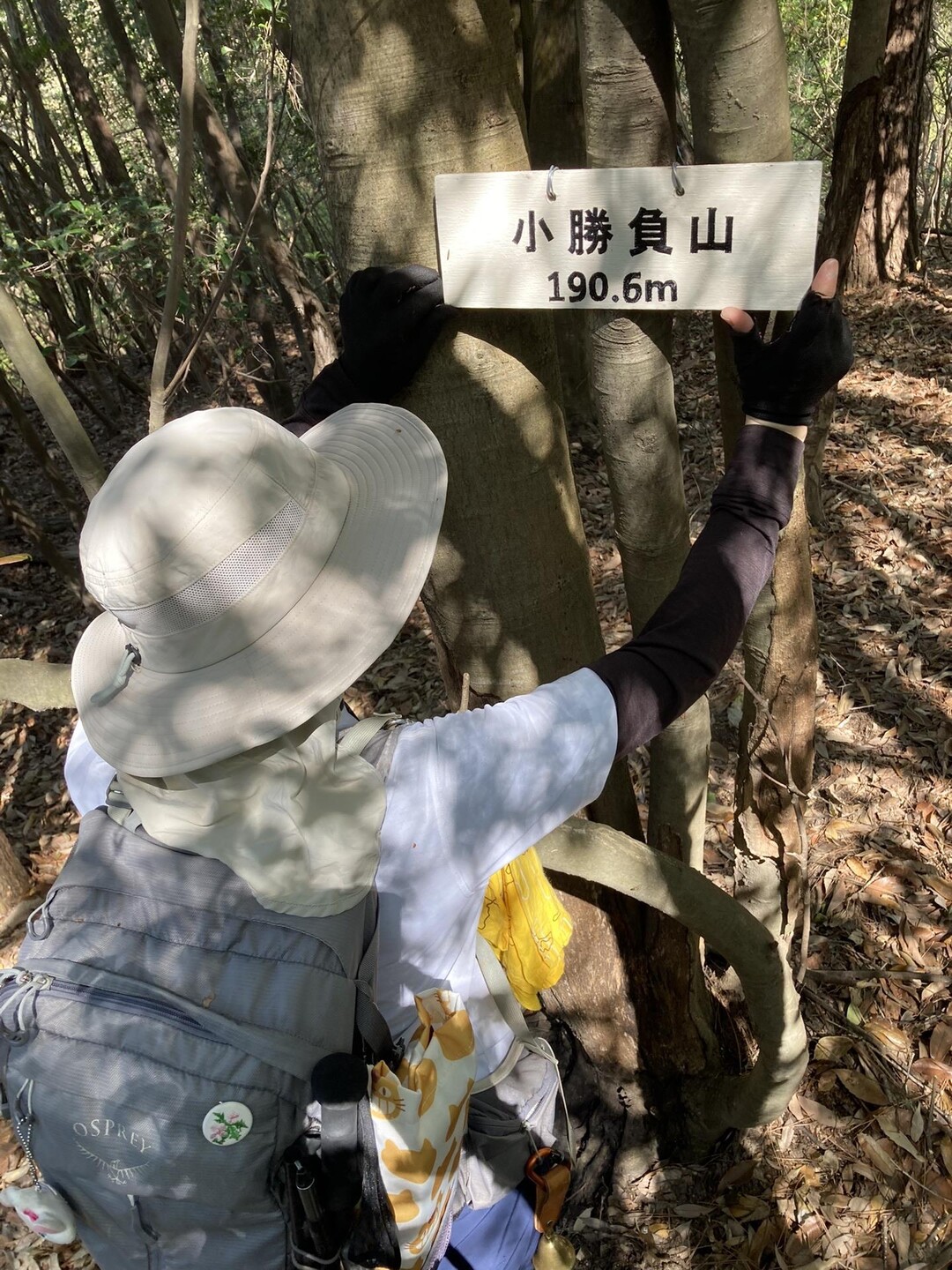 ベイビーピーク👶 小勝負山🐱 / toshiさんの呉娑々宇山・高尾山（広島県）・日浦山の活動データ | YAMAP / ヤマップ