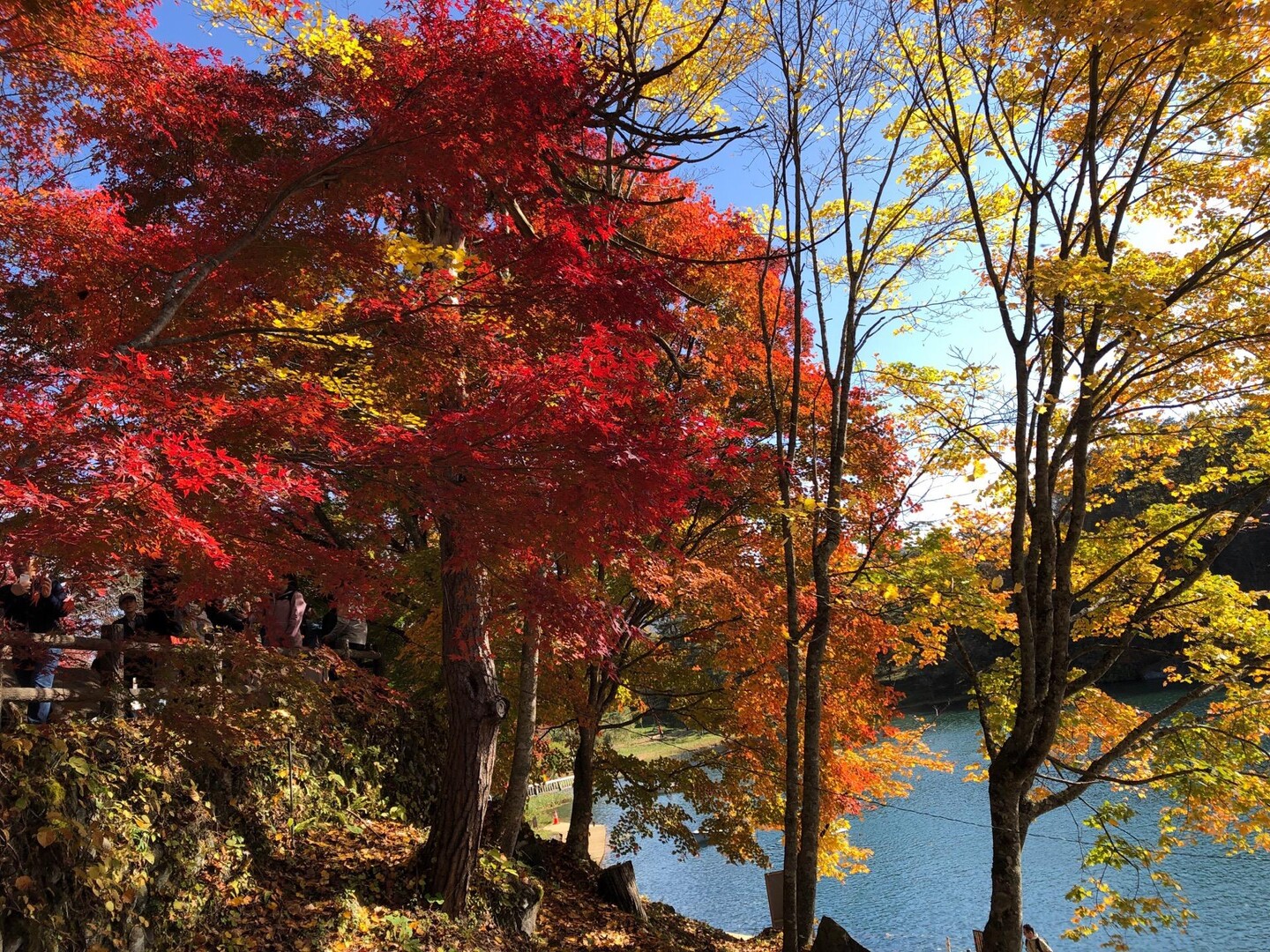 五色沼 / 🍀kei🍀 さんの磐梯山・雄国山・赤埴山の活動日記 | YAMAP / ヤマップ
