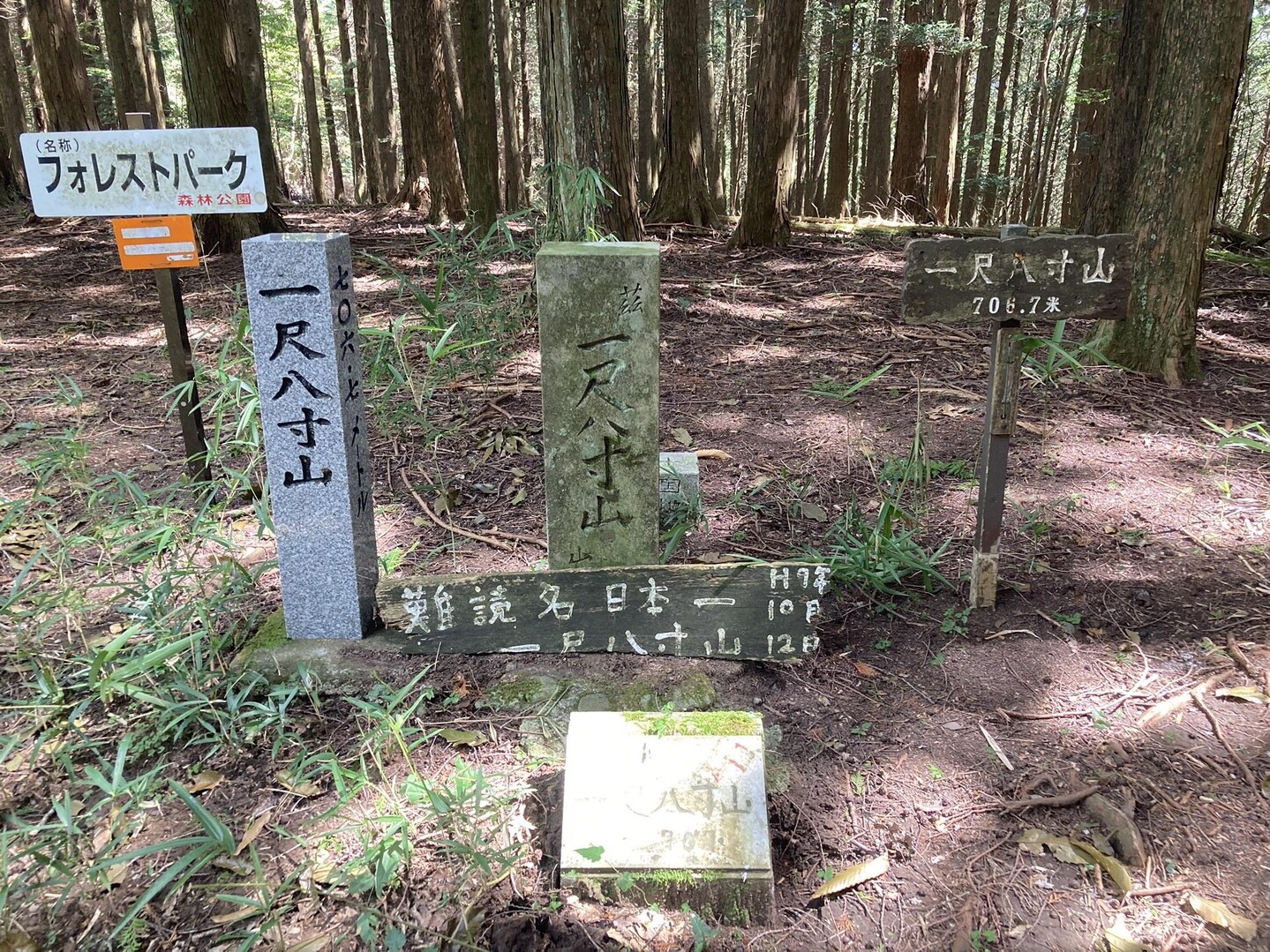 一尺八寸山（みおうやま）/日田SS② / Non-dayさんの一尺八寸山の活動データ | YAMAP / ヤマップ