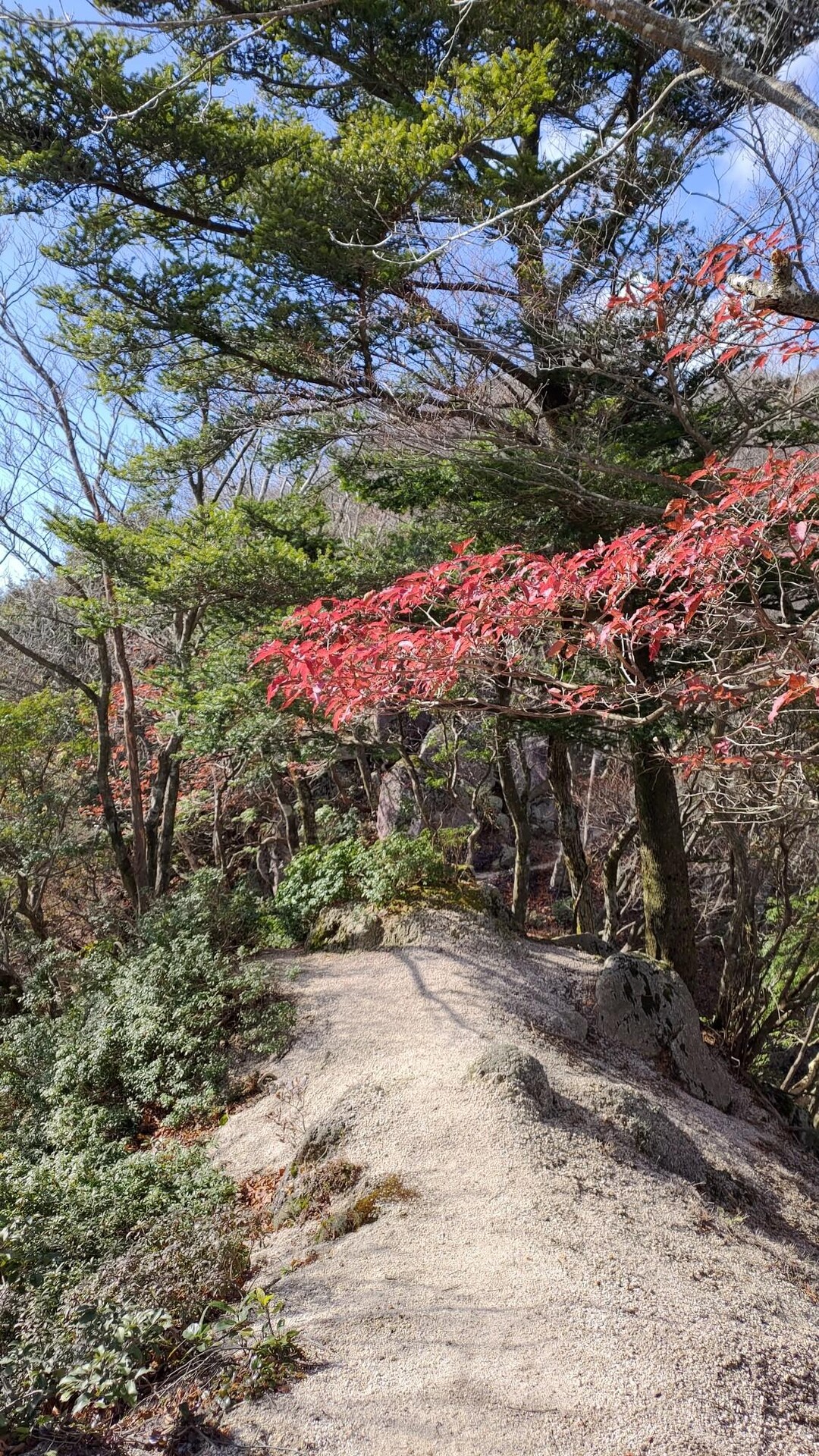 solaさんの投稿したフィールドメモ | YAMAP / ヤマップ