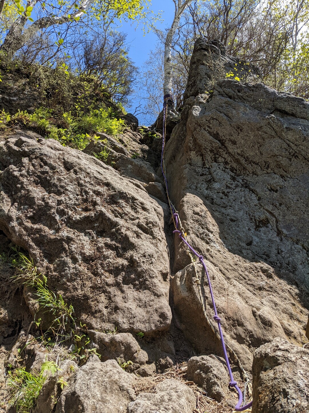 sayuさんの投稿したフィールドメモ | YAMAP / ヤマップ