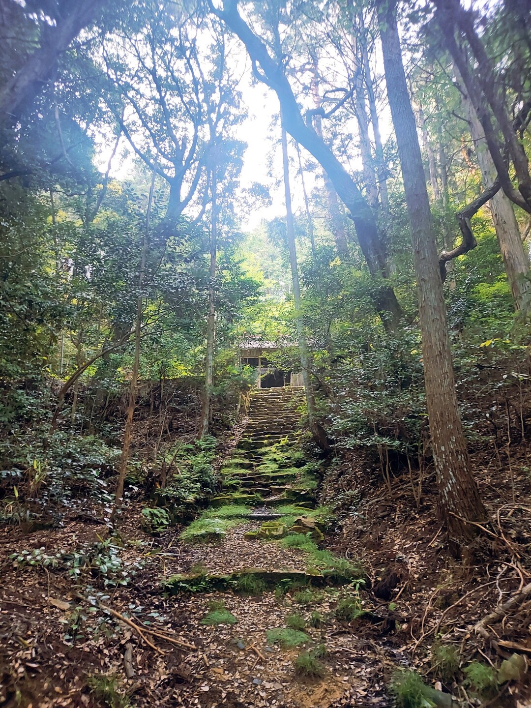 経山、鬼ノ城辺りを… / Shimo KJさんの鬼ノ城（鬼城山）の活動データ | YAMAP / ヤマップ