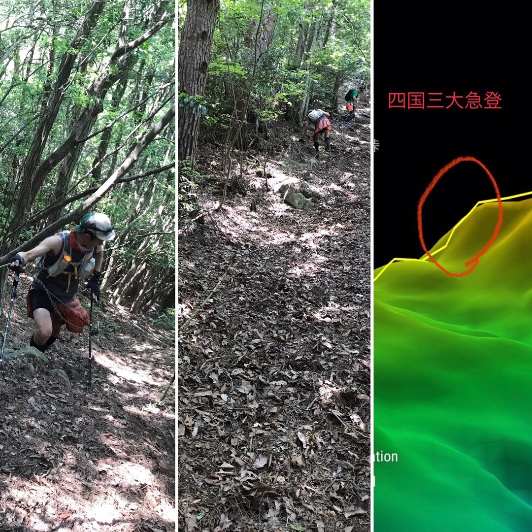 四国三大急登でストック練習出来るんか〜い！ / xmatyoさんの大滝山・苫尾山・大相山の活動日記 | YAMAP / ヤマップ