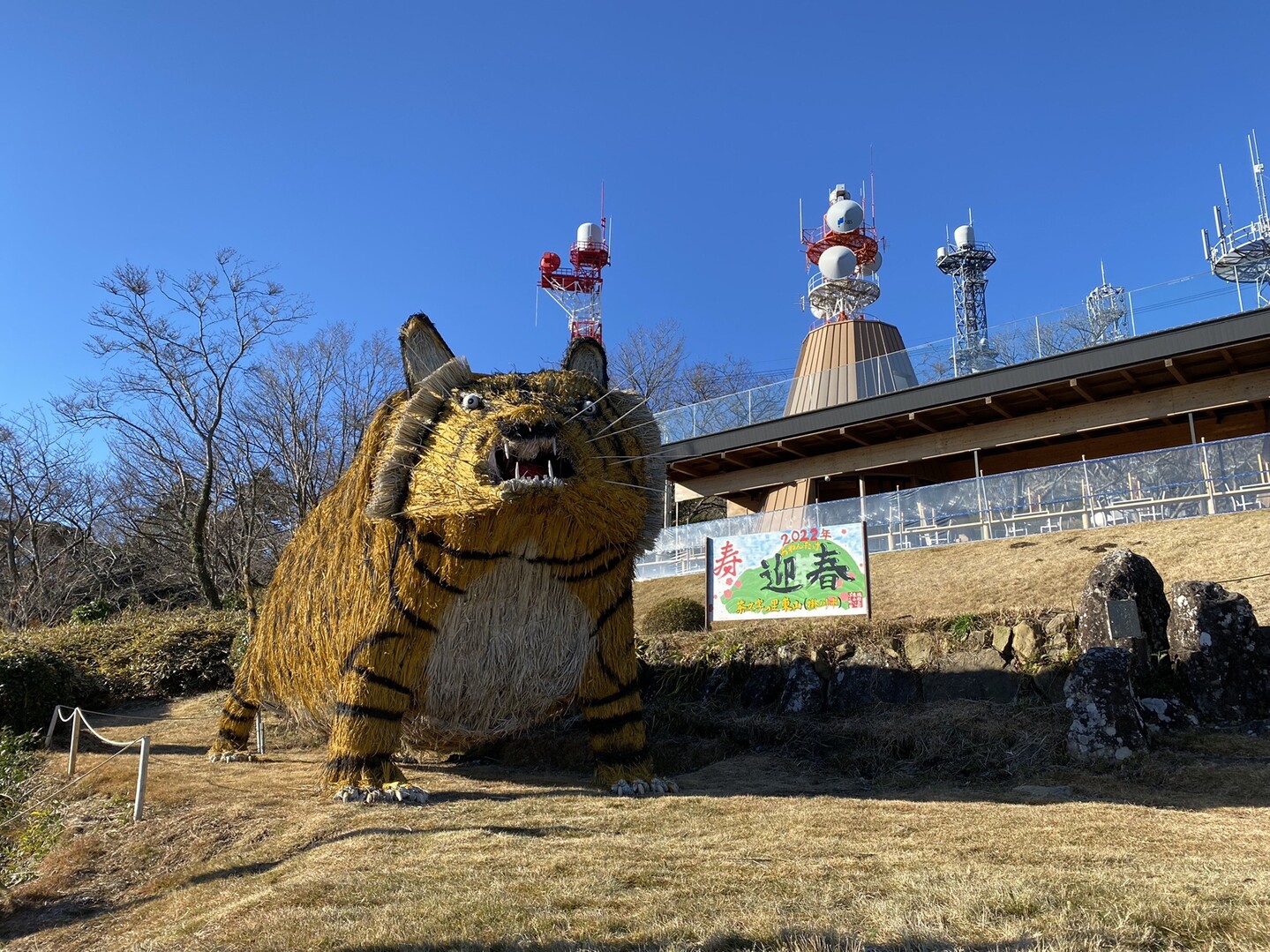 とら🐯トラ🐯虎🐯 大谷選手⚾️も居... / のーりんさんのモーメント | YAMAP / ヤマップ