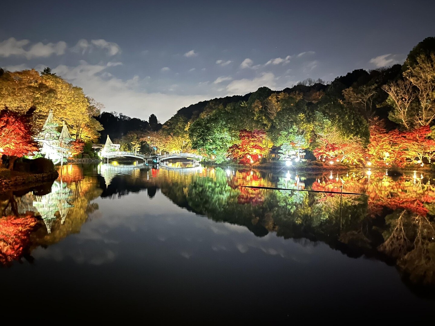 町田市の薬師池公園。 水面にライトアップ... / ユイマイさんのモーメント | YAMAP / ヤマップ