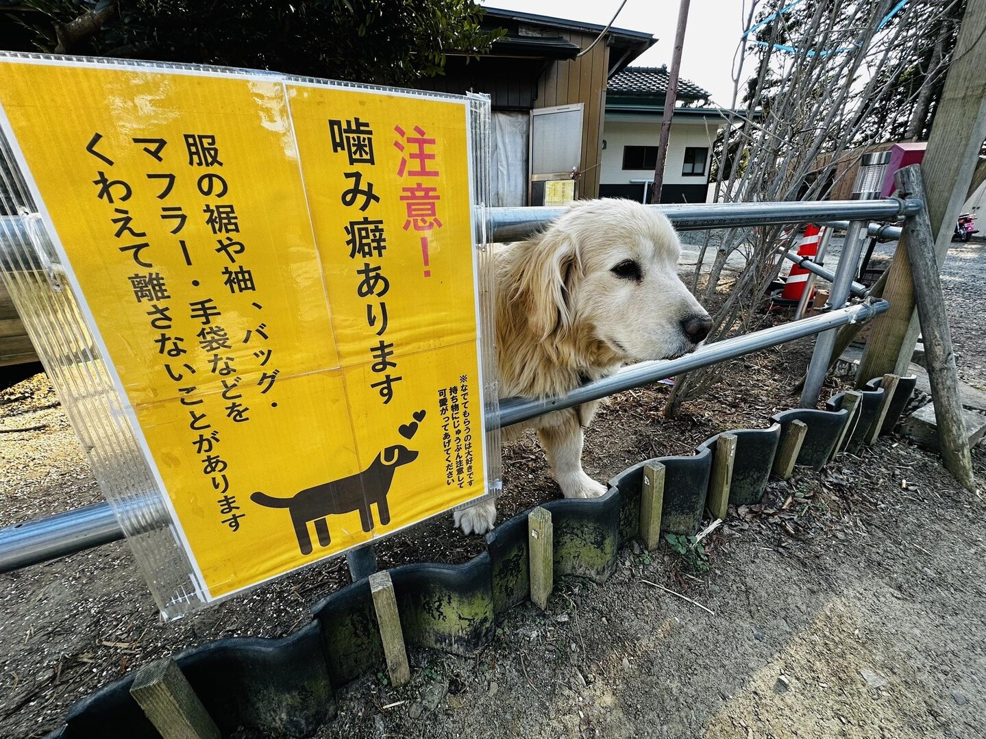 番外 高舘山☀️ / TERITAMAさんの高舘山の活動データ | YAMAP / ヤマップ