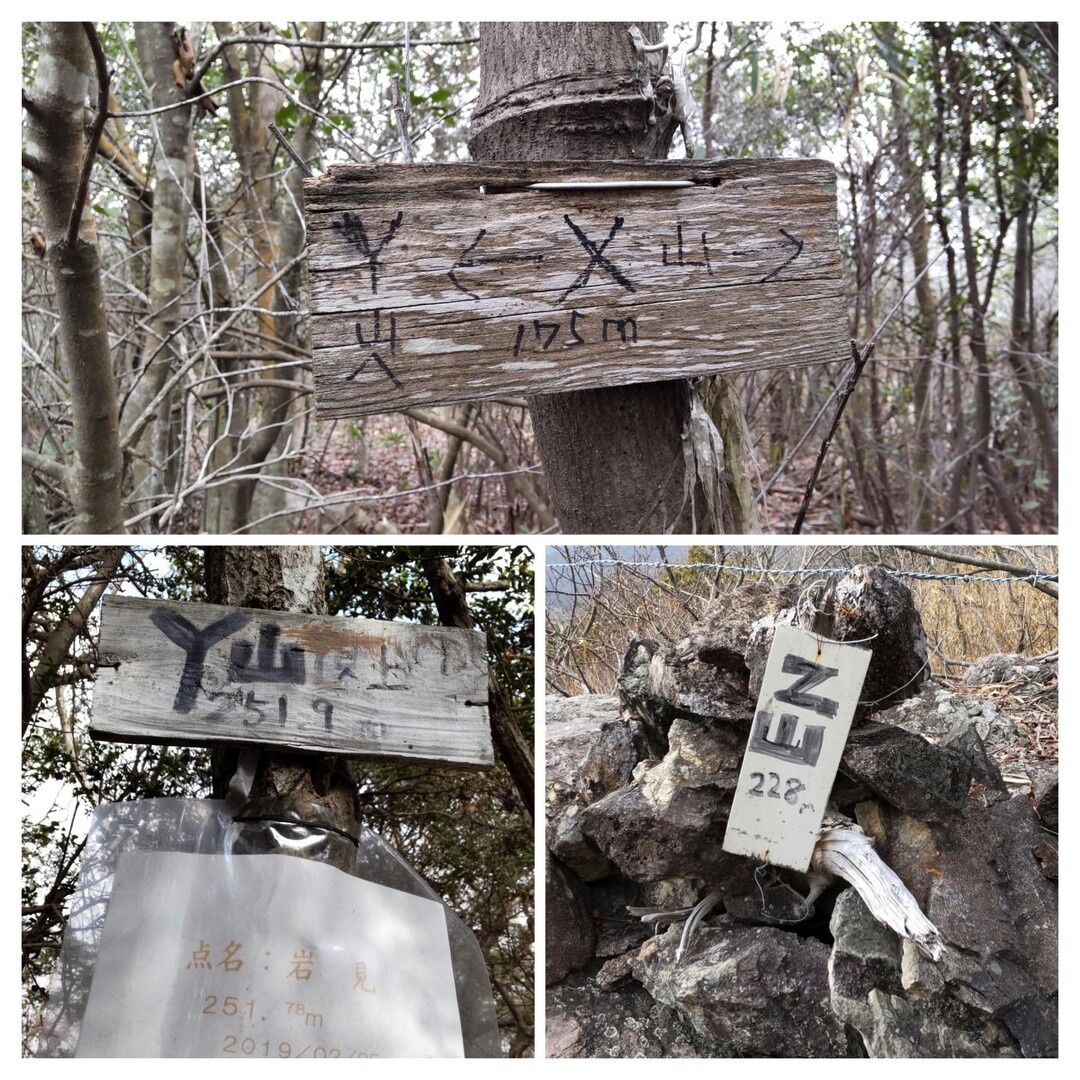 X山・Y山・Z山 / 赤飯おにぎりさんの天下台山・嫦峨山の活動データ | YAMAP / ヤマップ