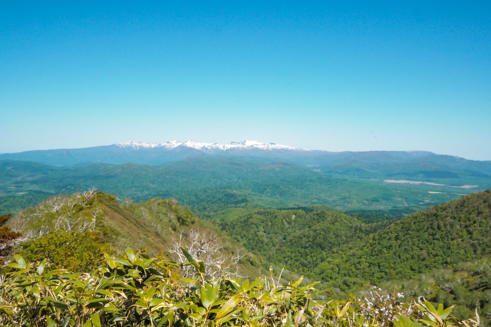 神居「2」 / 2053mさんの神居尻山・ピンネシリの活動データ | YAMAP / ヤマップ