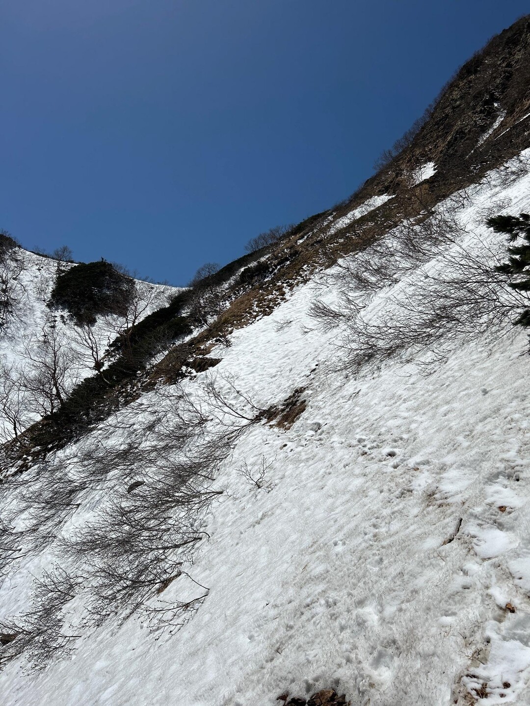 Gucci Gucciさんの投稿したフィールドメモ | YAMAP / ヤマップ