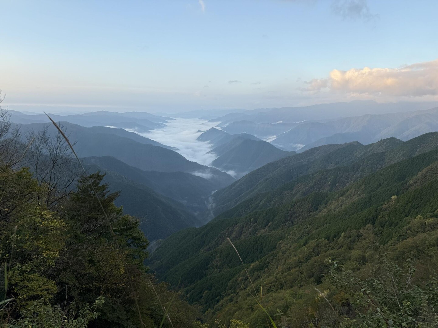 大台ヶ原山（日出ヶ岳）、大蛇岳 / manapさんの大台ヶ原山・日出ヶ岳・大杉谷の活動日記 | YAMAP / ヤマップ
