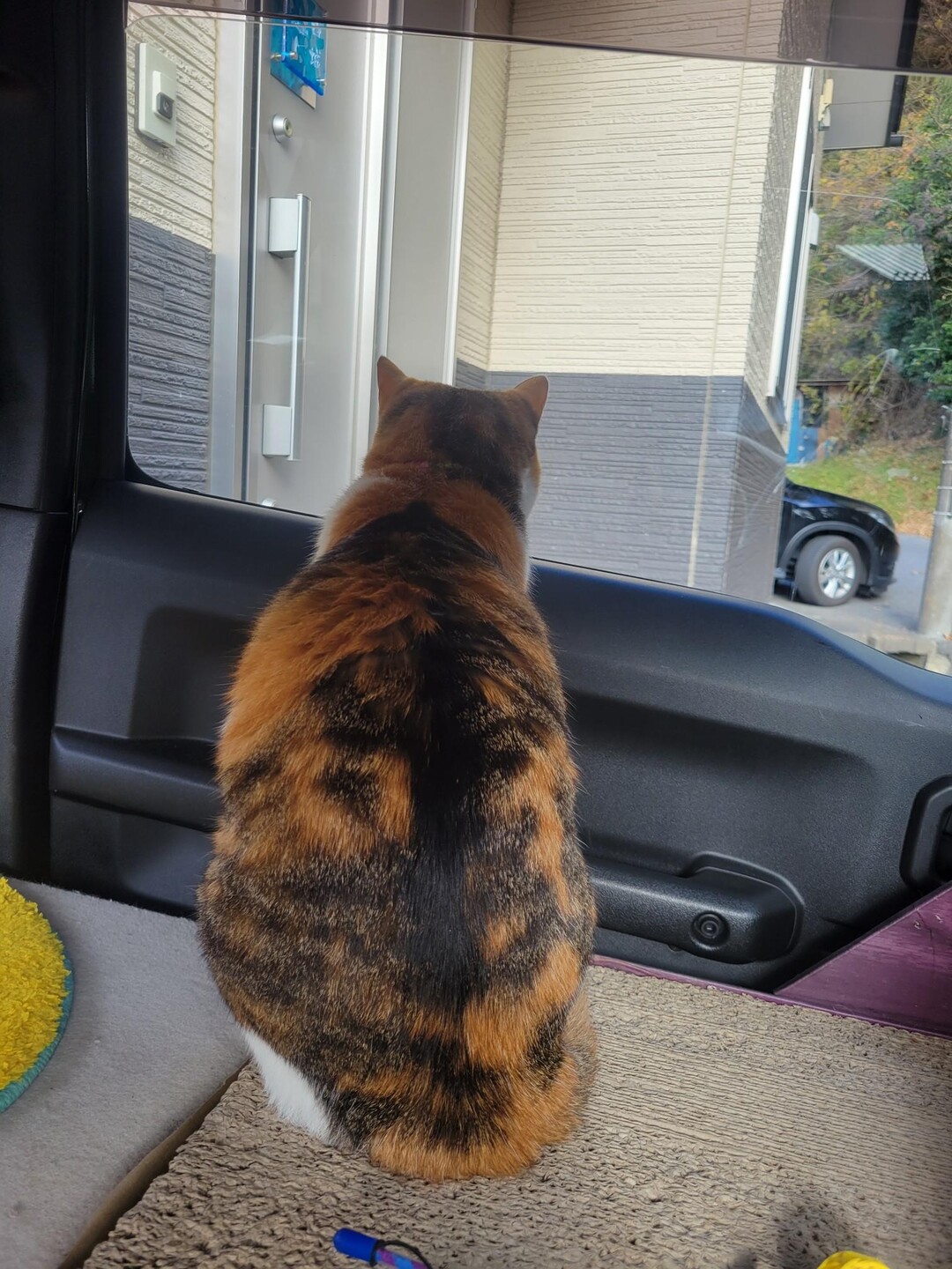 深山100回登頂スペシャルイベントへ。 / あずまさんの深山の活動データ | YAMAP / ヤマップ