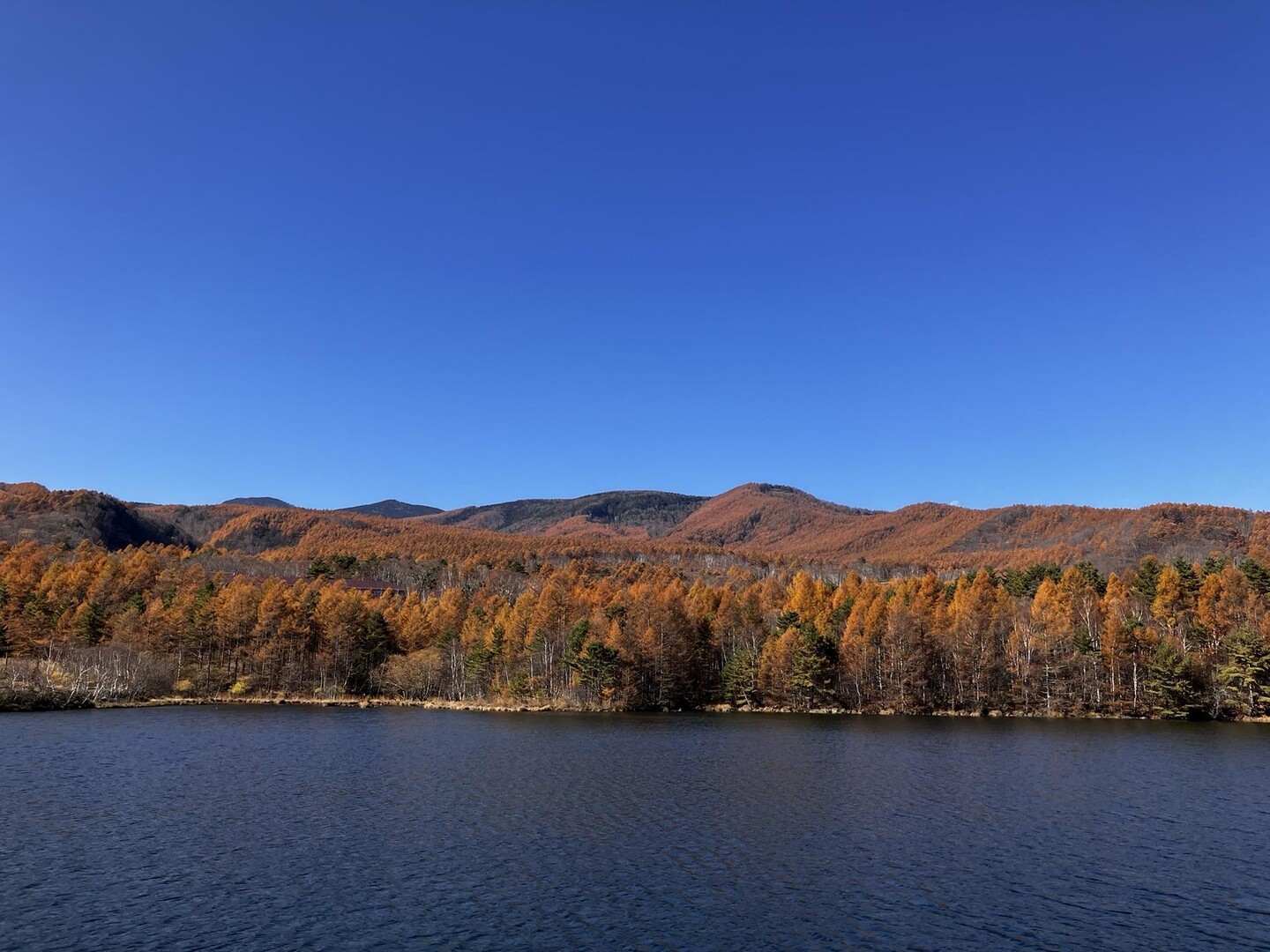 この連休は2泊3日で両親連れて信州旅行。... / 727Kさんのモーメント | YAMAP / ヤマップ
