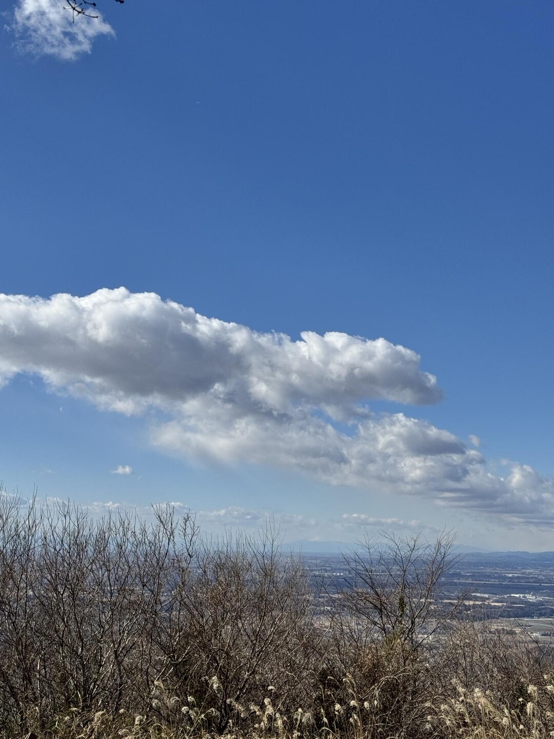孫と一緒に宝篋山♪ / MIKAさんの宝篋山・富岡山の活動データ | YAMAP / ヤマップ
