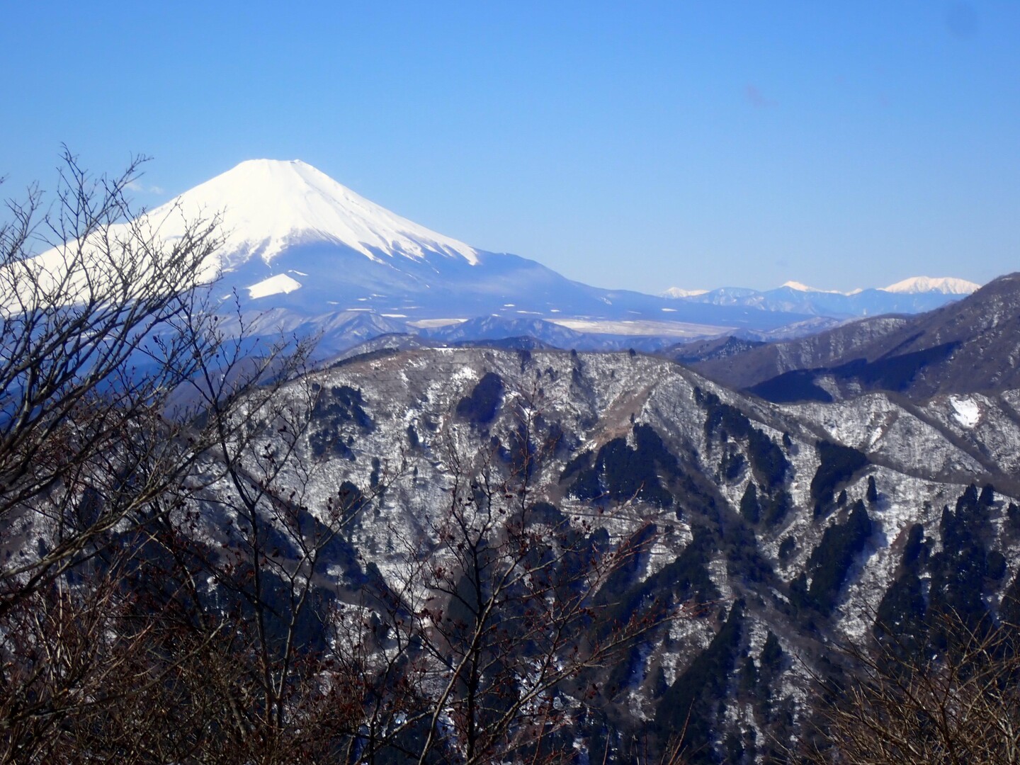 大山・矢草ノ頭 不動尻のみつまた / mikaさんの大山の活動データ | YAMAP / ヤマップ