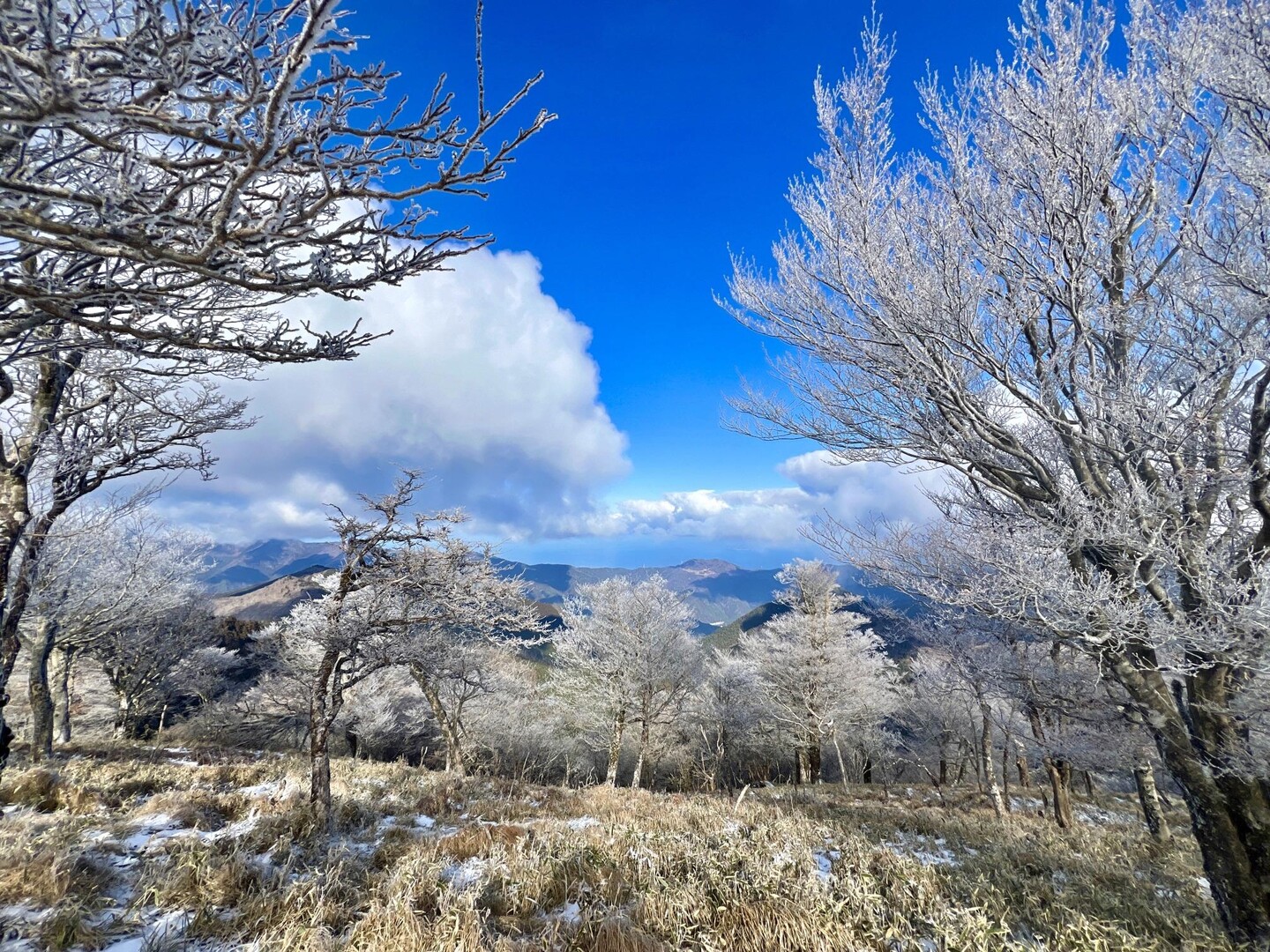 感動の連続だよ大森山→佐々連尾山 / チャム子さんの佐々連尾山・大森山の活動データ | YAMAP / ヤマップ