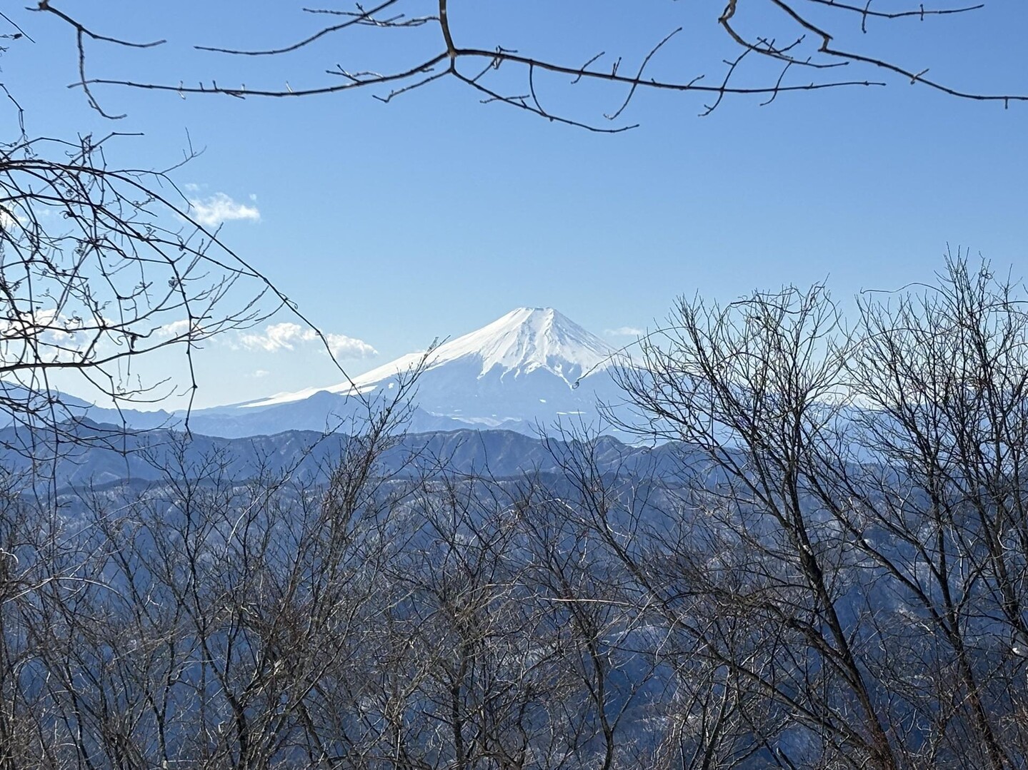 雪の御前山へ / ken-sukeさんの大岳山・御岳山・御前山の活動データ | YAMAP / ヤマップ