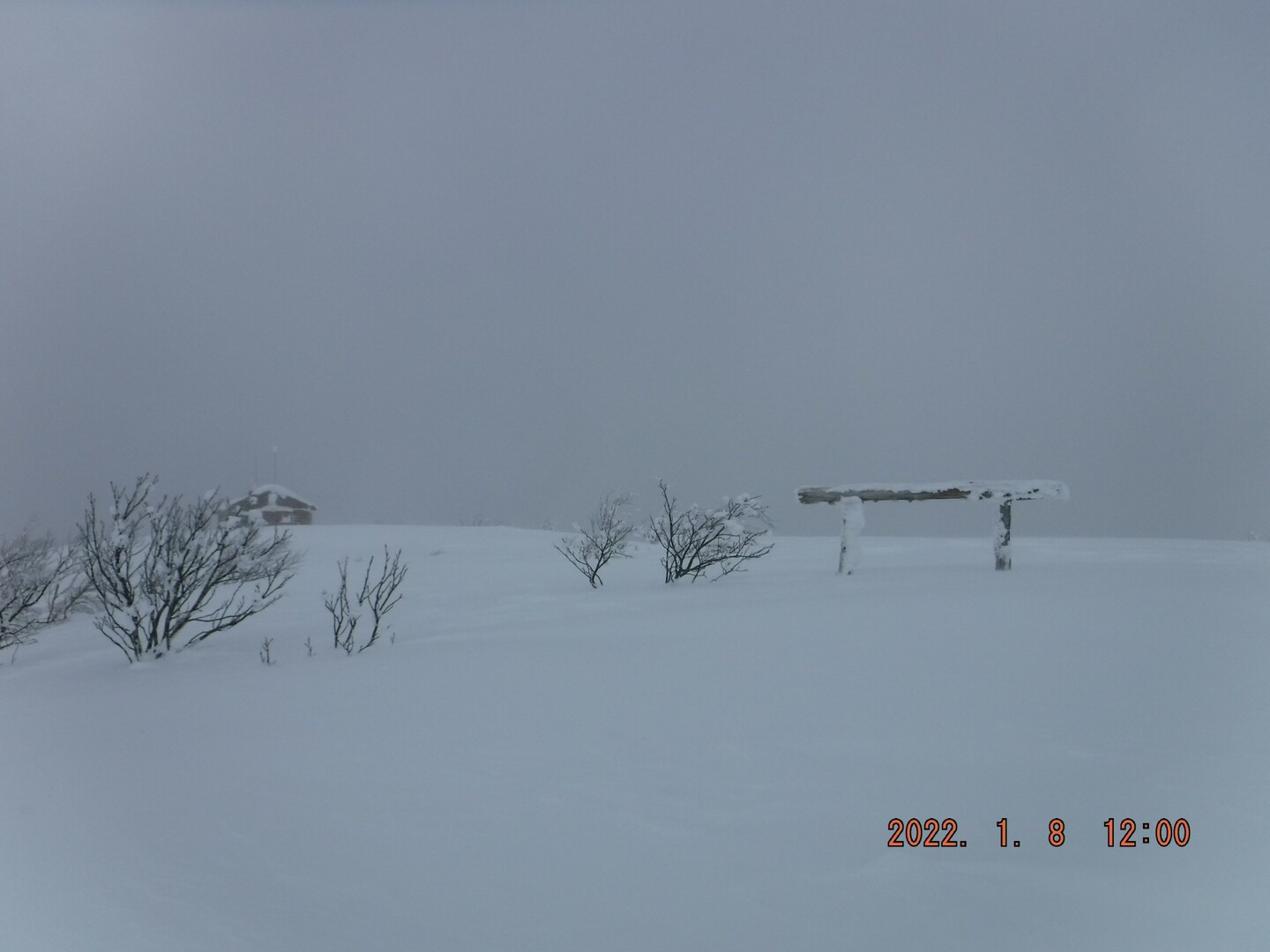 田代岳(大広手口)BCスキーNo3-2022-01-08 / bakkyさんの田代岳の活動データ | YAMAP / ヤマップ