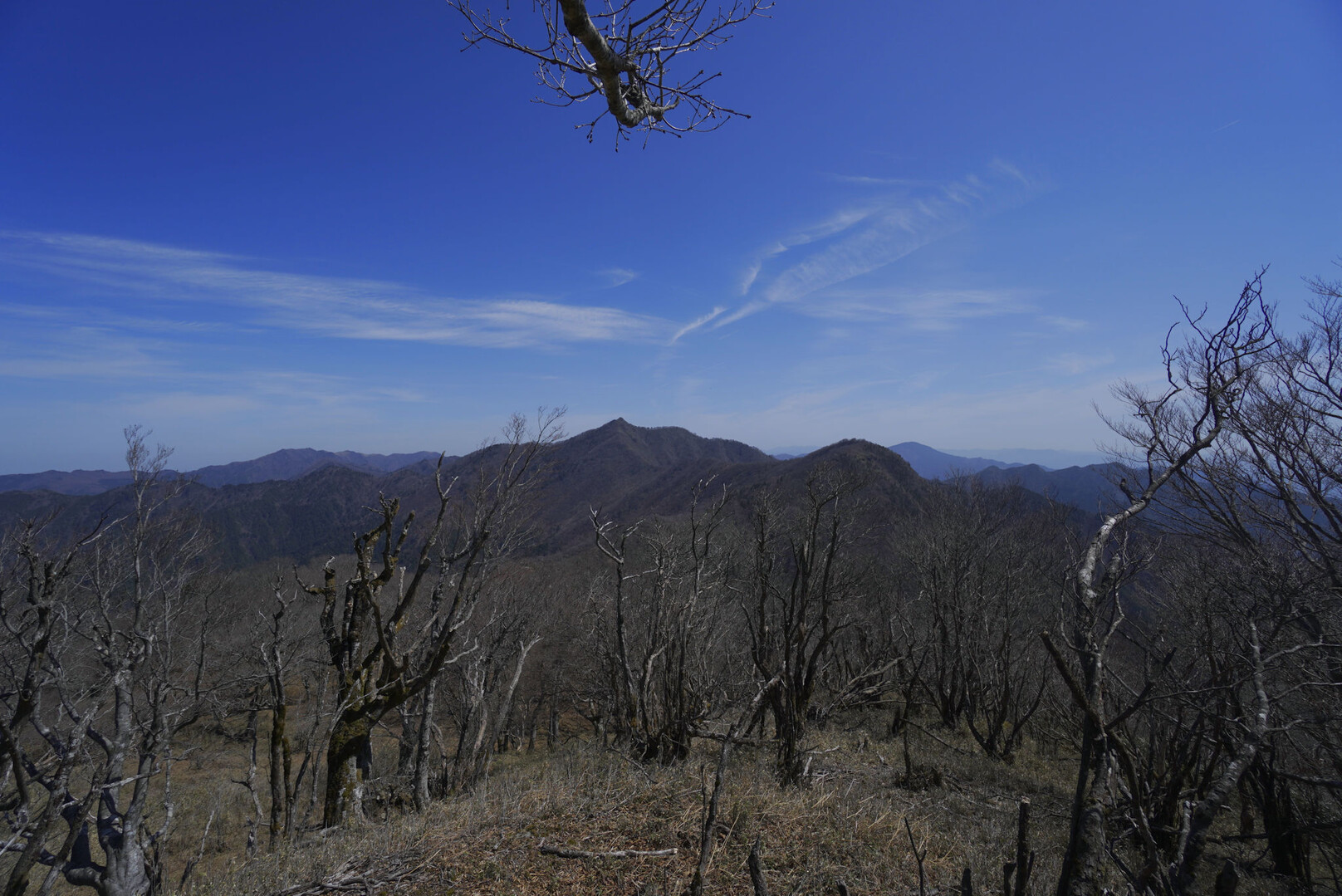 黒岩山 / FRVさんの東光森山・野地峰・黒岩山の活動データ | YAMAP / ヤマップ