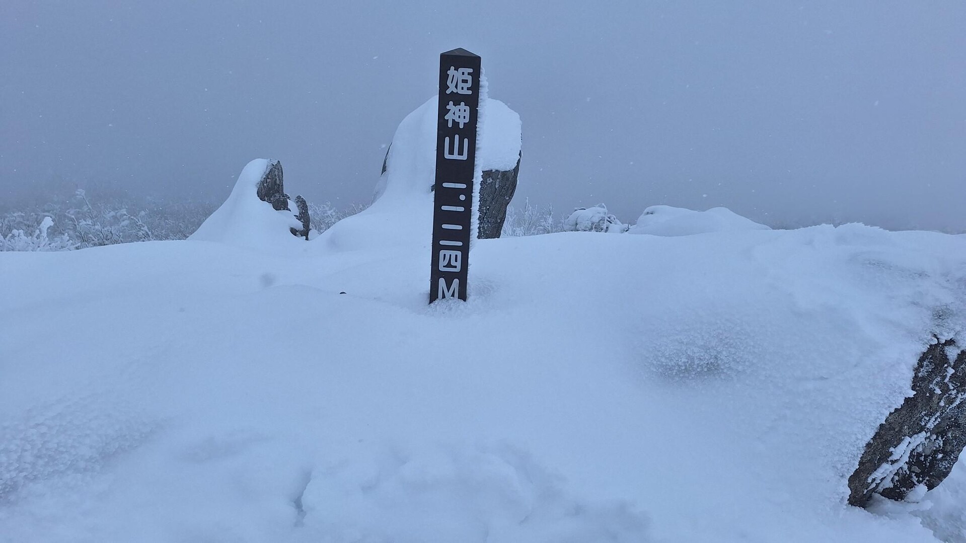 姫神山 / hidekiさんの姫神山の活動データ | YAMAP / ヤマップ