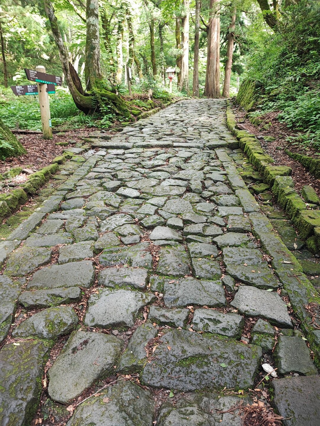 ｸﾚｲｼﾞｰﾄﾗﾊﾞｰｽ隼(jun)🌋🦦さんの投稿したフィールドメモ | YAMAP / ヤマップ