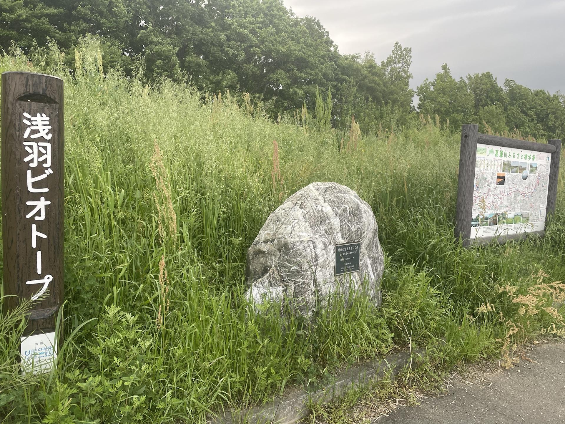 坂戸市浅羽ビオトープウォーキング-2025-05-04 / s06007さんのウォーキングの活動データ | YAMAP / ヤマップ