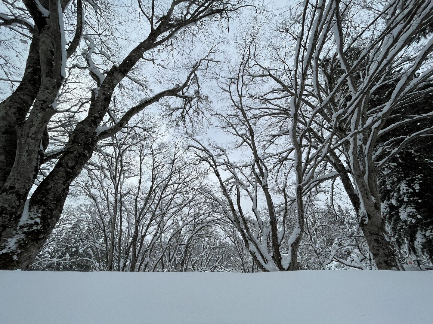 2023.01.04(水) 13:57 / ケロケロ🐸🐸🐸さんのモーメント | YAMAP / ヤマップ