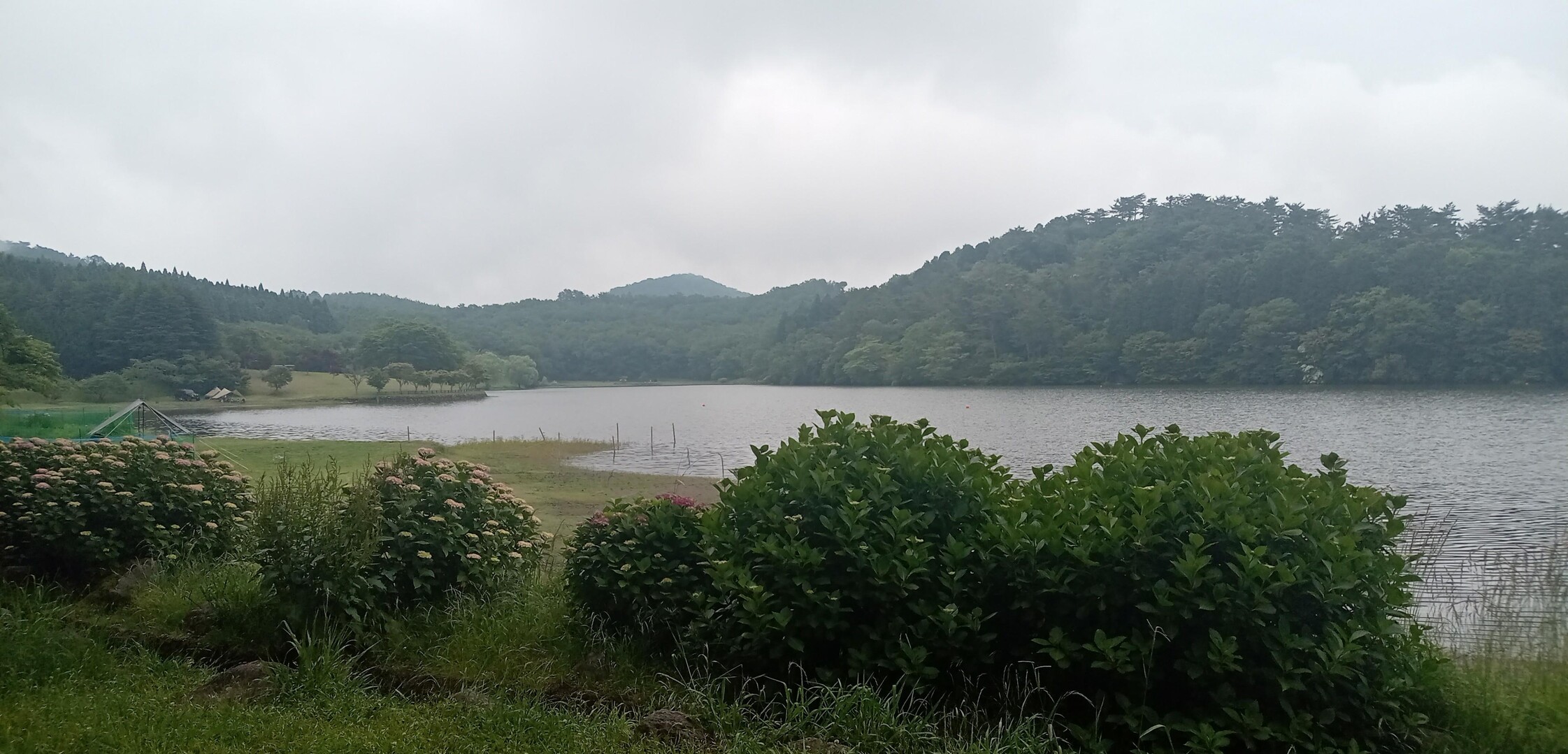 志高湖〜小鹿山〜大将軍山 / hacoさんの小鹿山の活動データ | YAMAP / ヤマップ