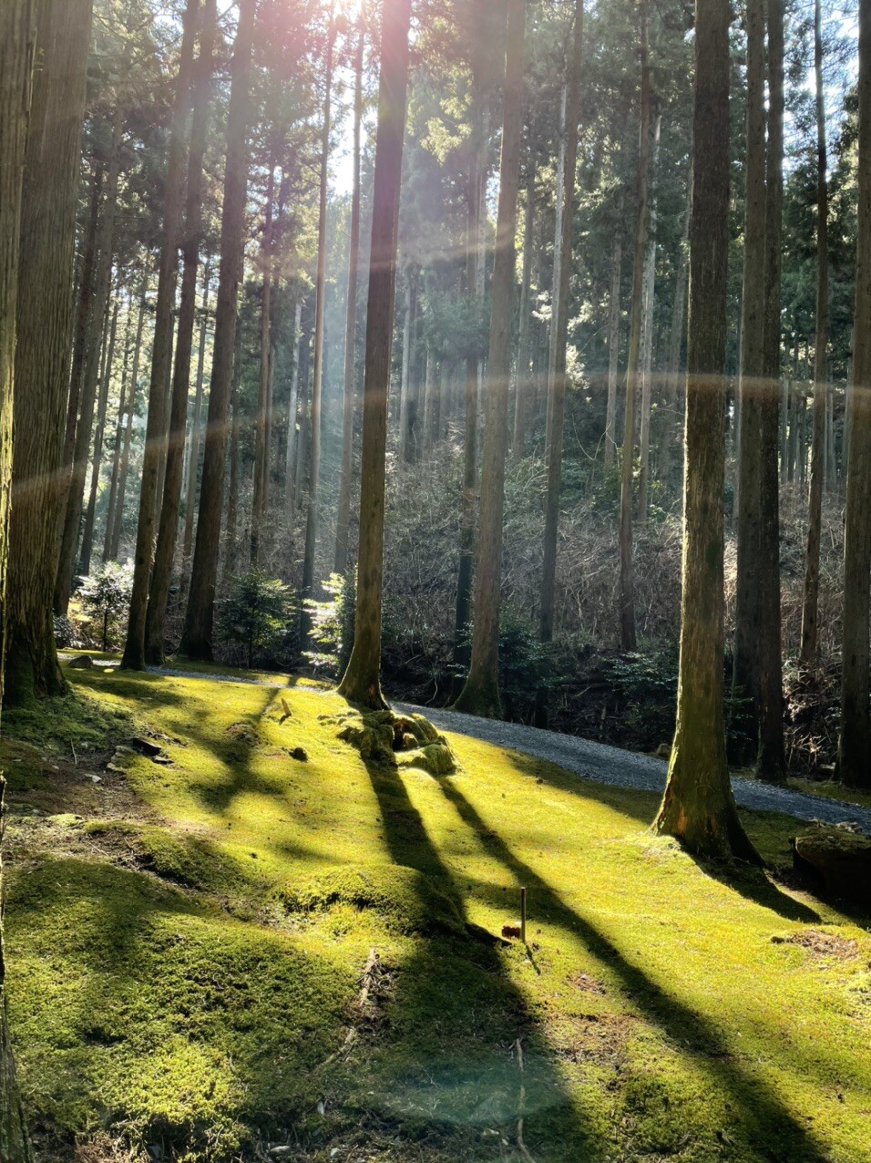 ko-jiのページ | YAMAP / ヤマップ