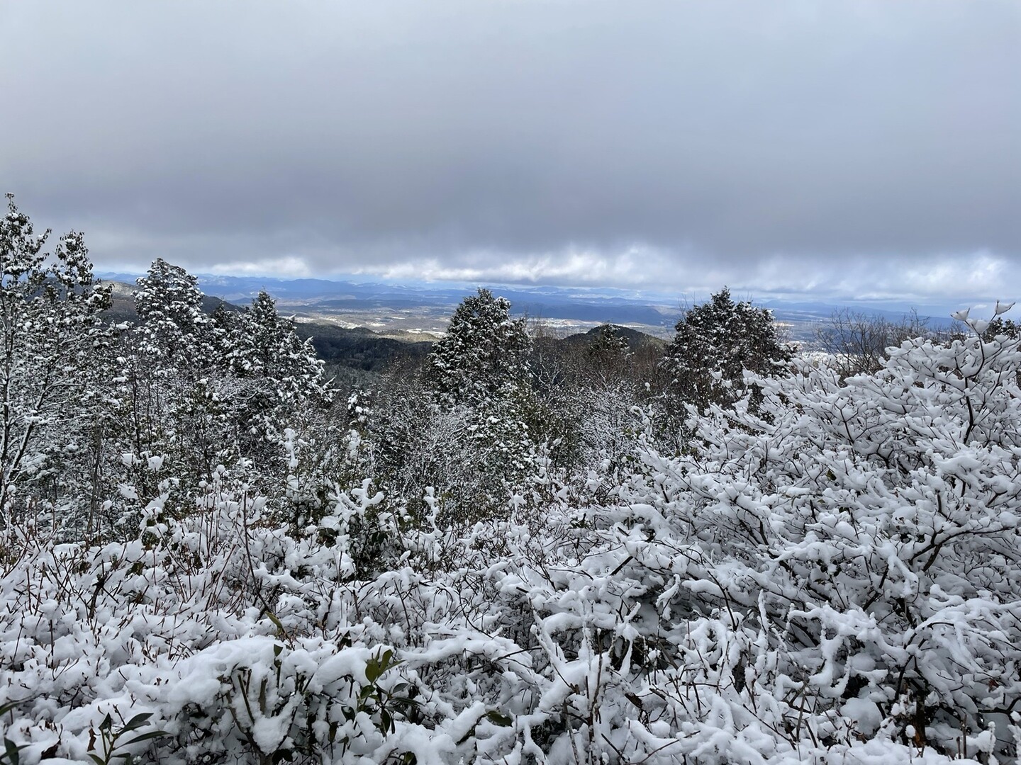 道樹山・大谷山・弥勒山 / shunさんの春日井三山・弥勒山・大谷山・道樹山の活動データ | YAMAP / ヤマップ