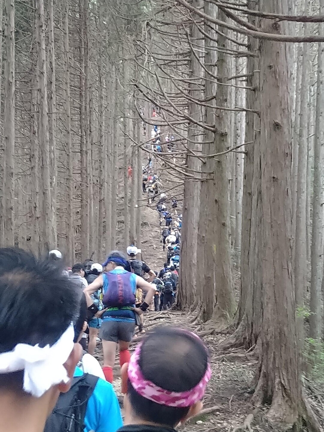 ハセツネCUP・日本山岳耐久レース（71.5kmコース）-2023-10-08 / まこっちさんのハセツネCUP・日本山岳耐久レース（71.5kmコース）の活動データ | YAMAP / ヤマップ