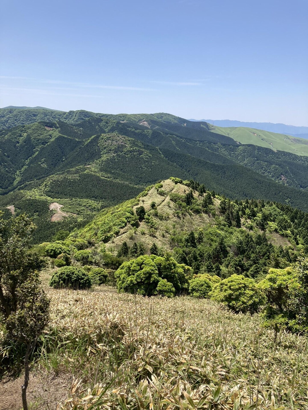 俵山 / nanaさんの阿蘇山・高岳・根子岳の活動データ | YAMAP / ヤマップ