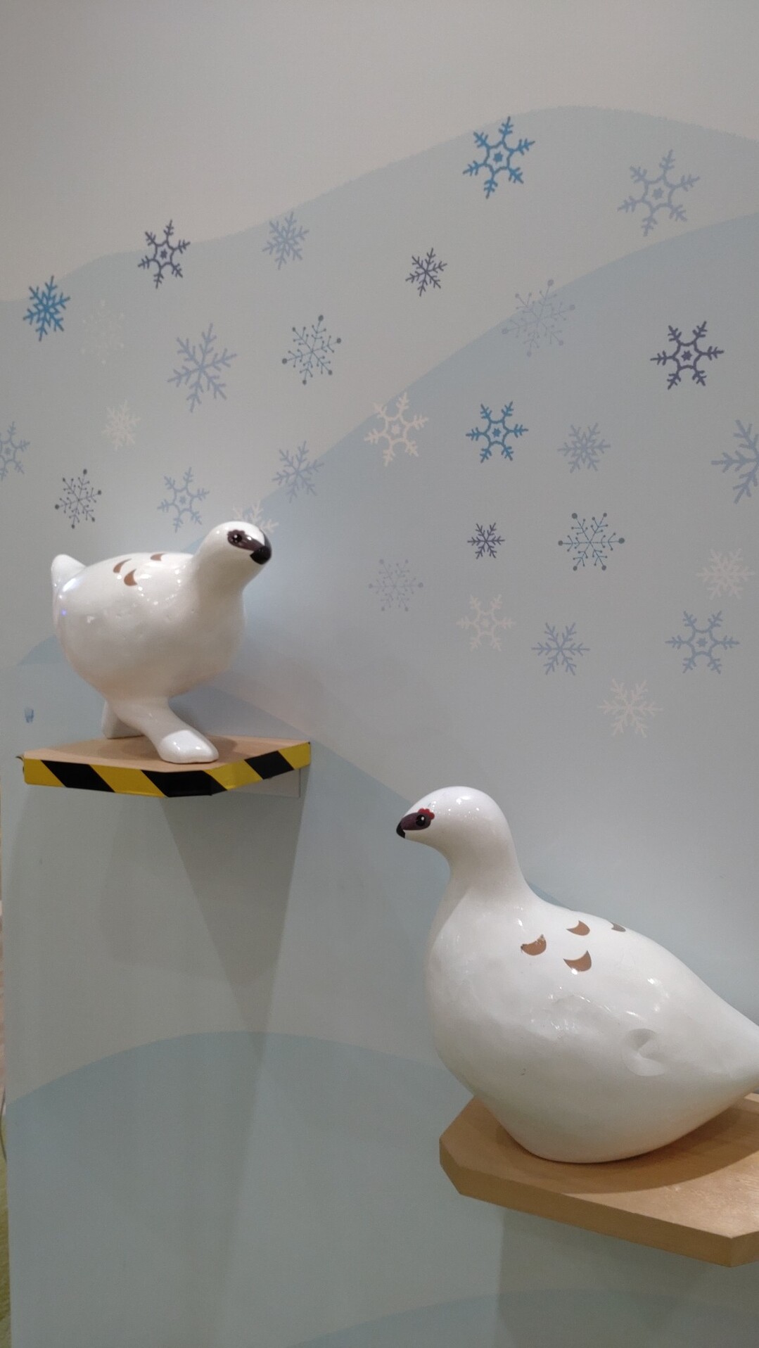 可愛いけど、ホンモノ見たいなぁ…in 長... / とくみつさんのモーメント | YAMAP / ヤマップ