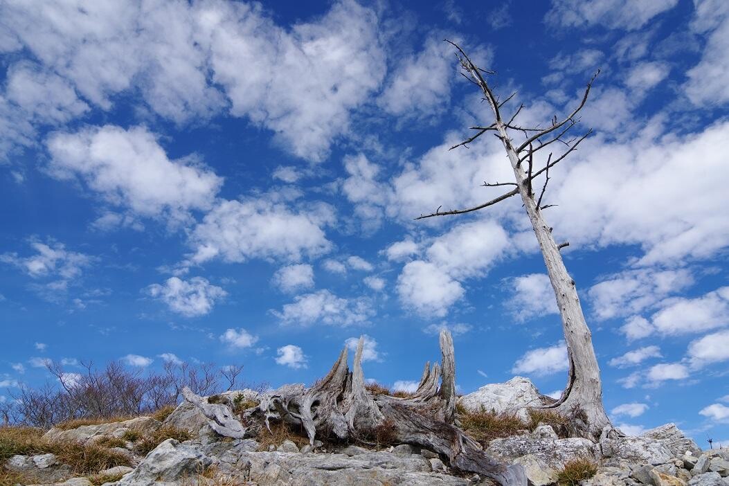 桧塚奥峰⛰️ / ida☆tennさんの桧塚奥峰・明神岳・薊岳の活動データ | YAMAP / ヤマップ