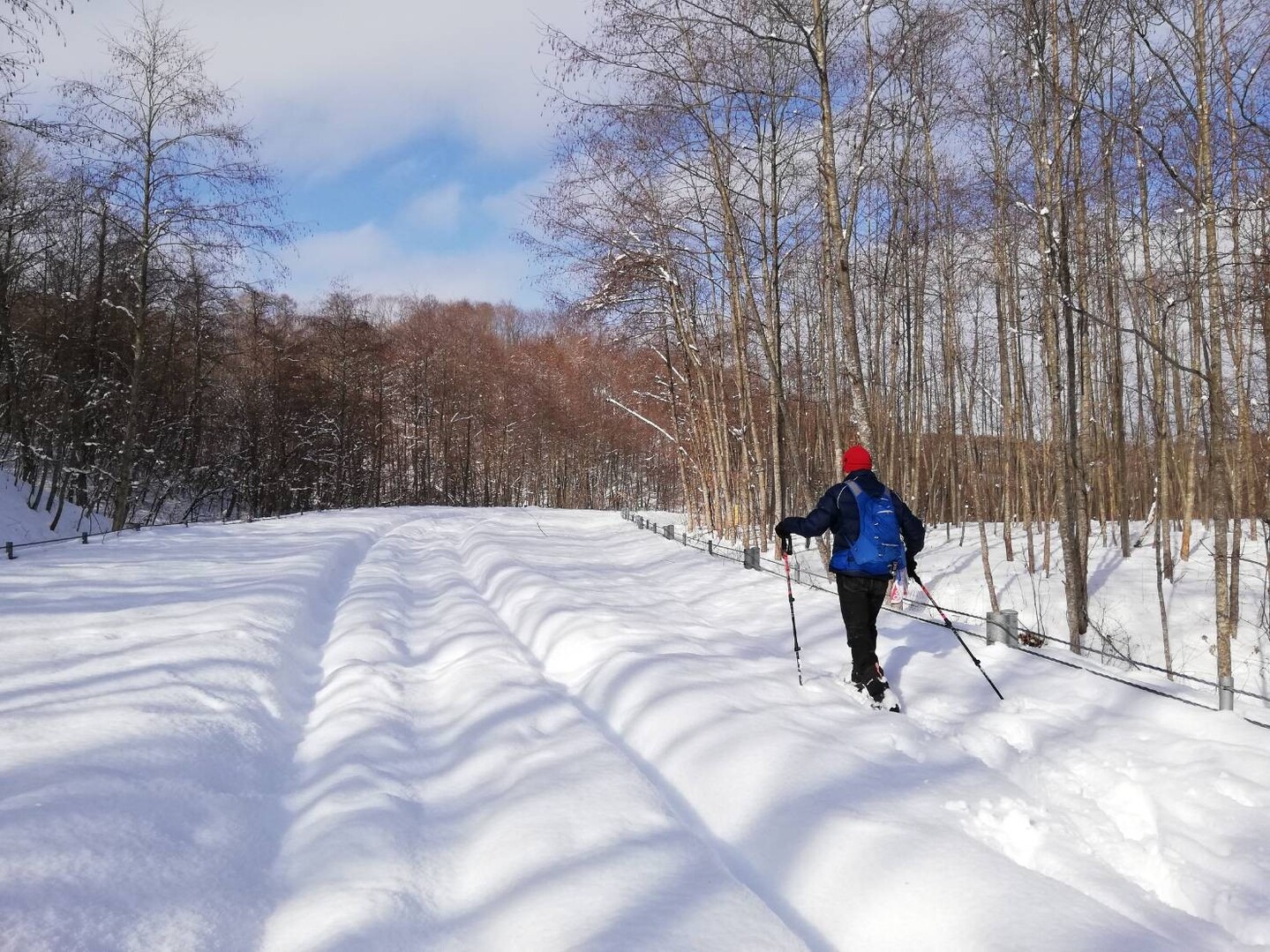 2022/1/22 雪中散歩してきました... / aripapaさんのモーメント | YAMAP / ヤマップ