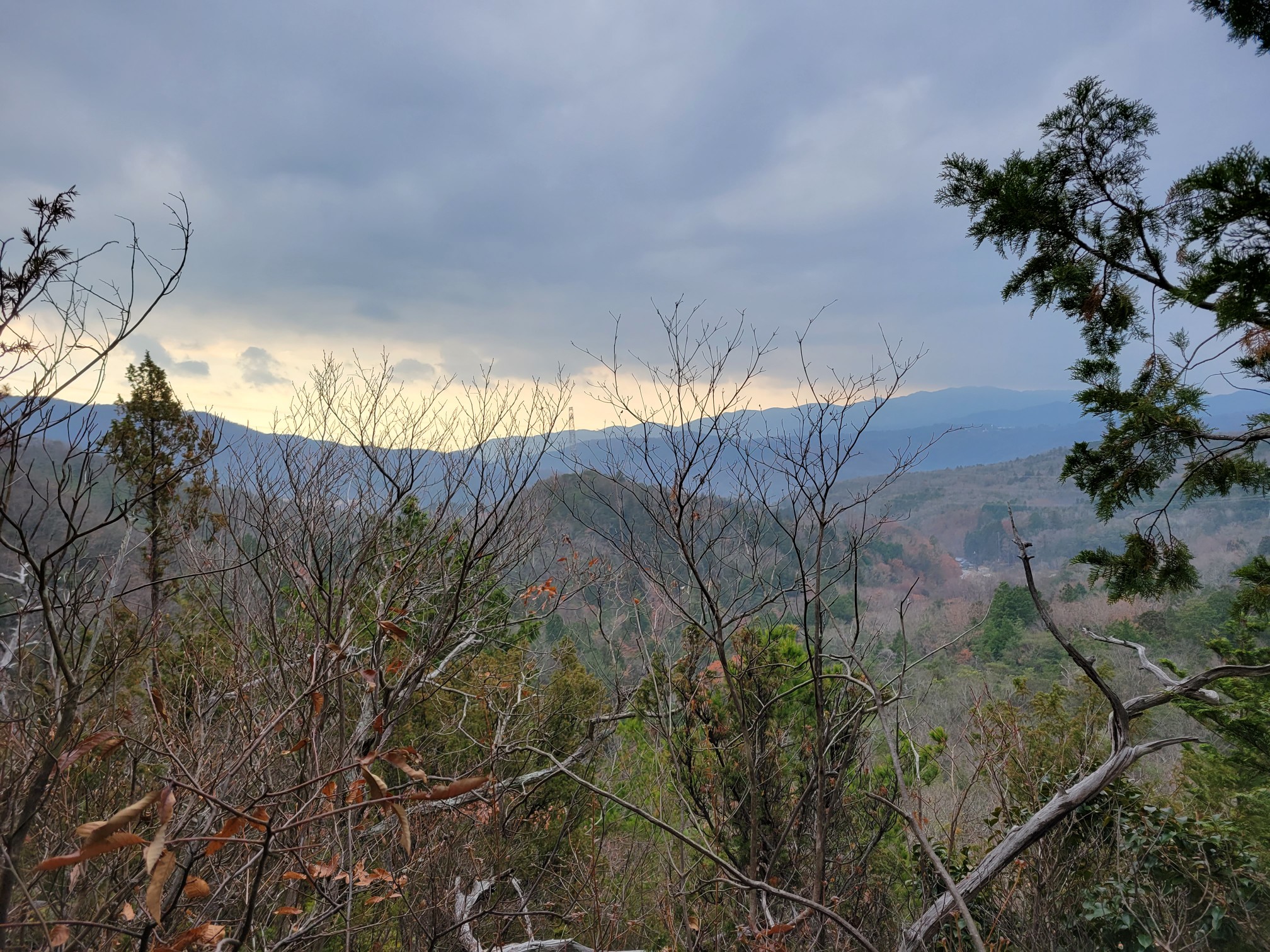 古宝山（三角点 玉瀬） / しまちゃん ルーファイ能力ゼロ さんの北摂里山トレイル（伊丹市・宝塚市・川西市・猪名川町エリア）の活動データ ...