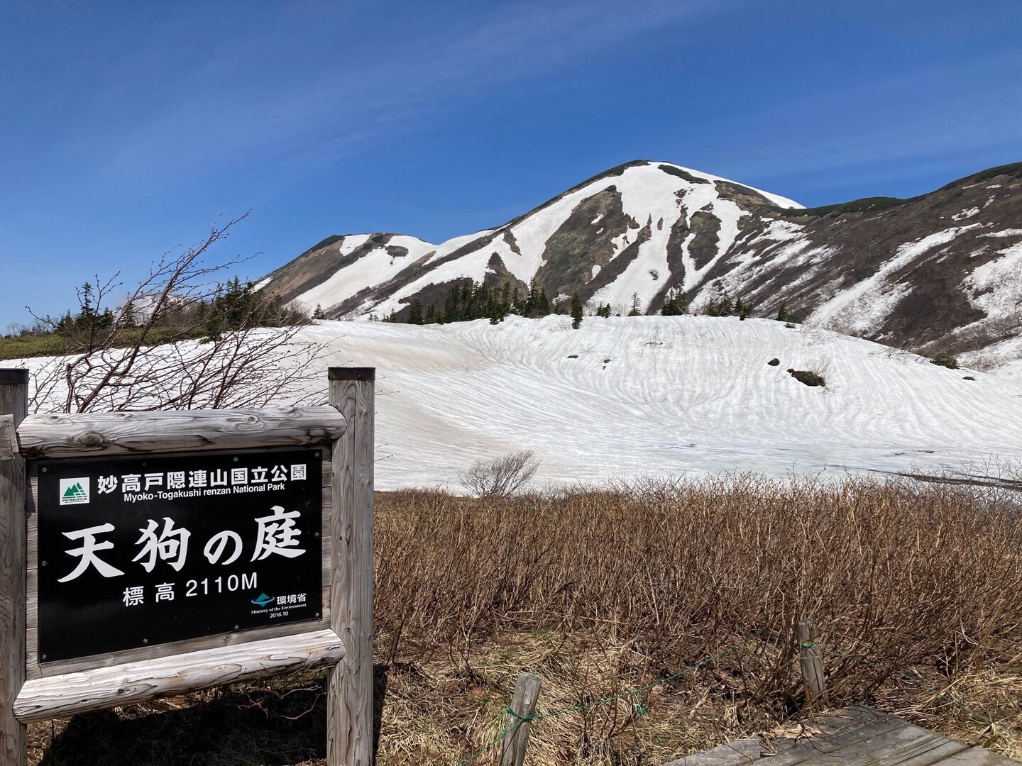 火打山 / higeさんの妙高山・火打山の活動データ | YAMAP / ヤマップ