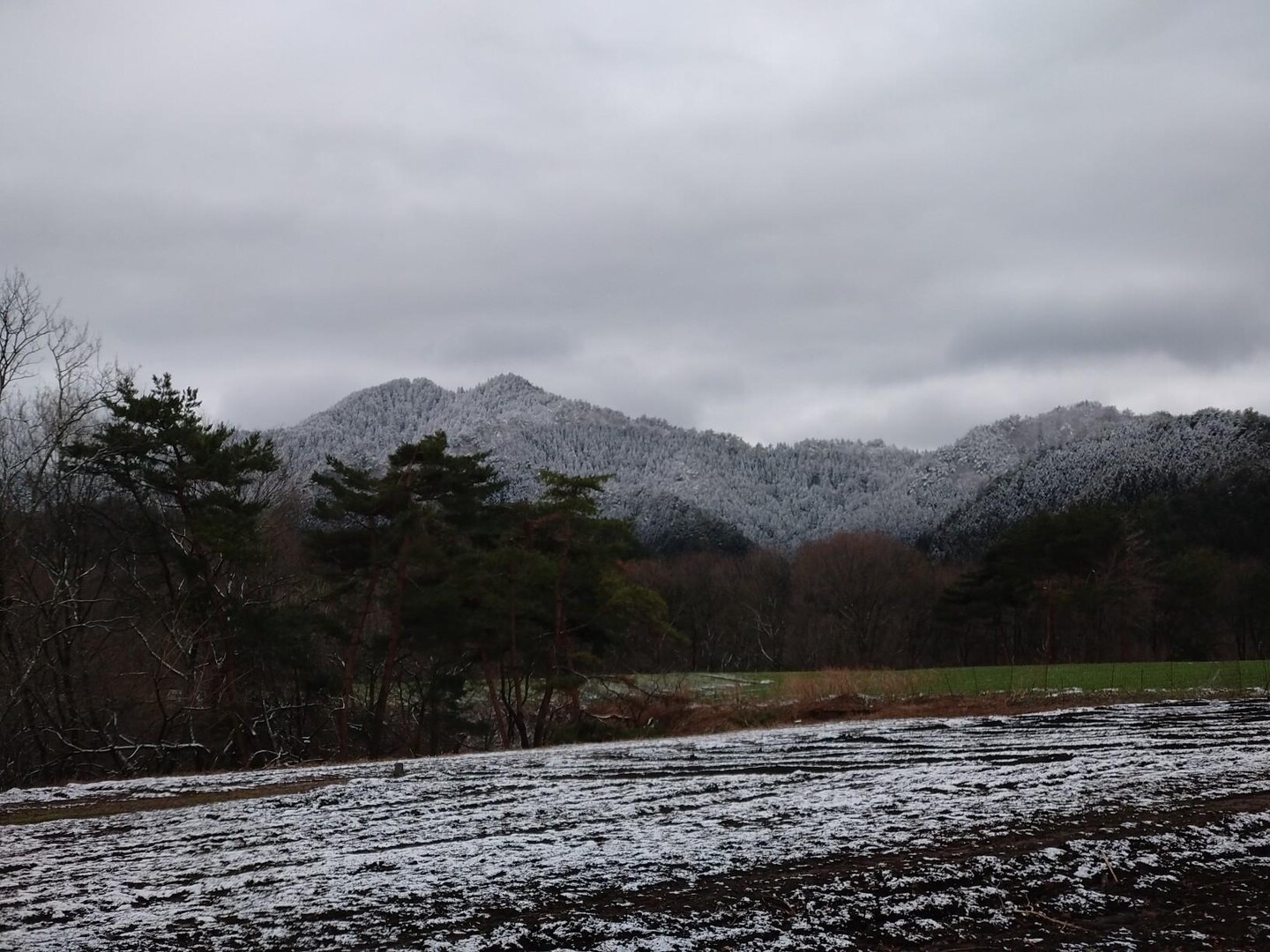 御祓山 / 神戸KAC_THさんの御祓山の活動データ | YAMAP / ヤマップ