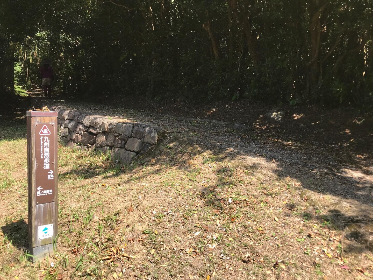 Meeyaさんの投稿したフィールドメモ | YAMAP / ヤマップ