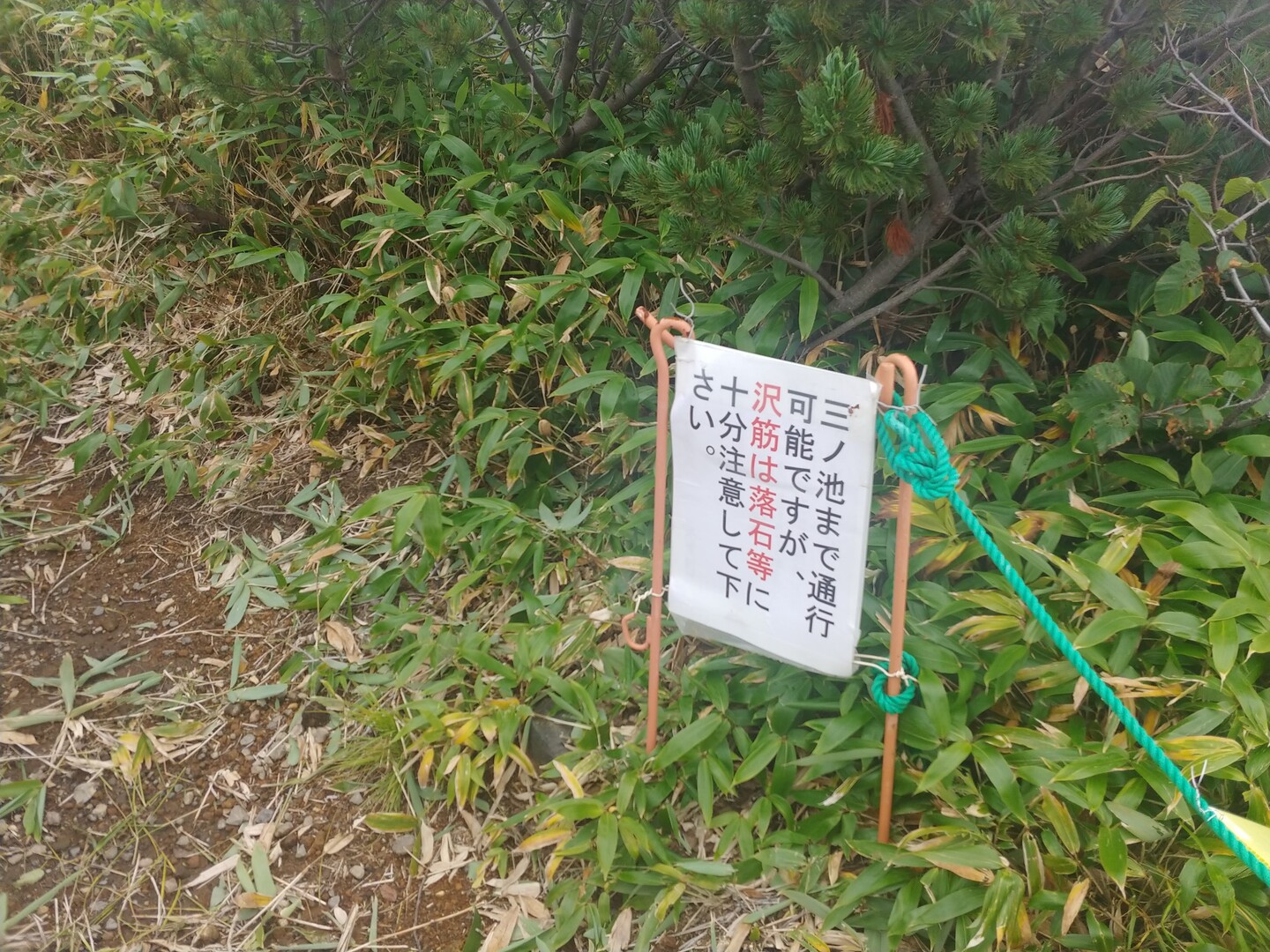 kotaさんの投稿したフィールドメモ | YAMAP / ヤマップ