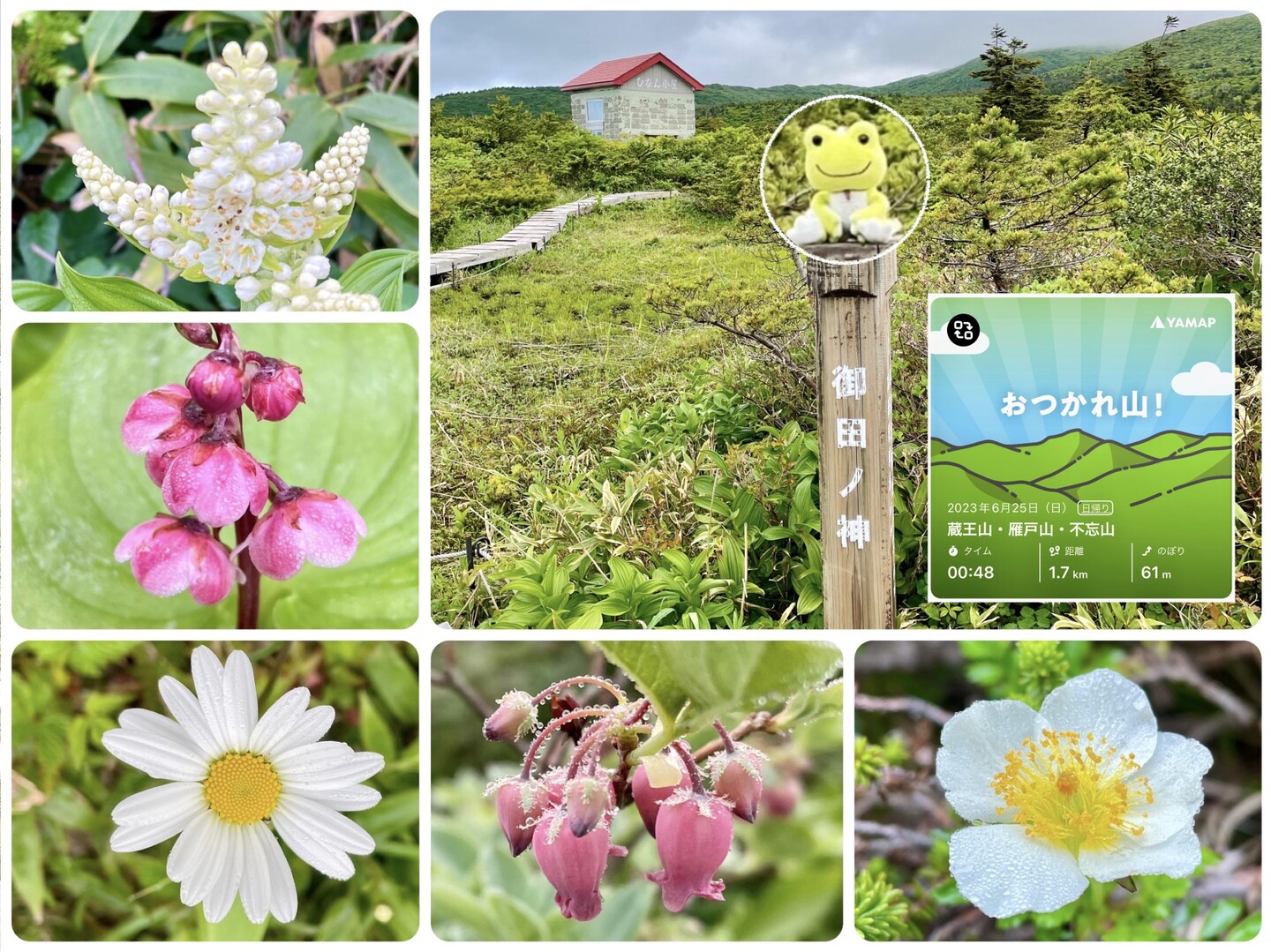 御田ノ神園地を周回しました。 ("おつか... / 𝙥𝙞𝙘𝙠𝙡𝙚𝙨さんのモーメント | YAMAP / ヤマップ