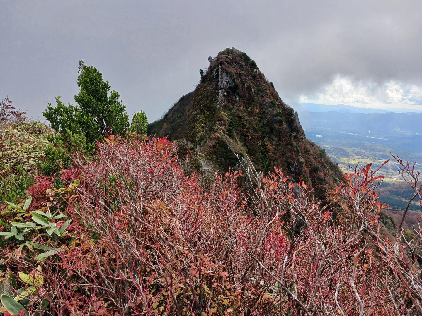 🍁烏ヶ山 / チカちゃんさんの大山・甲ヶ山・野田ヶ山の活動データ | YAMAP / ヤマップ