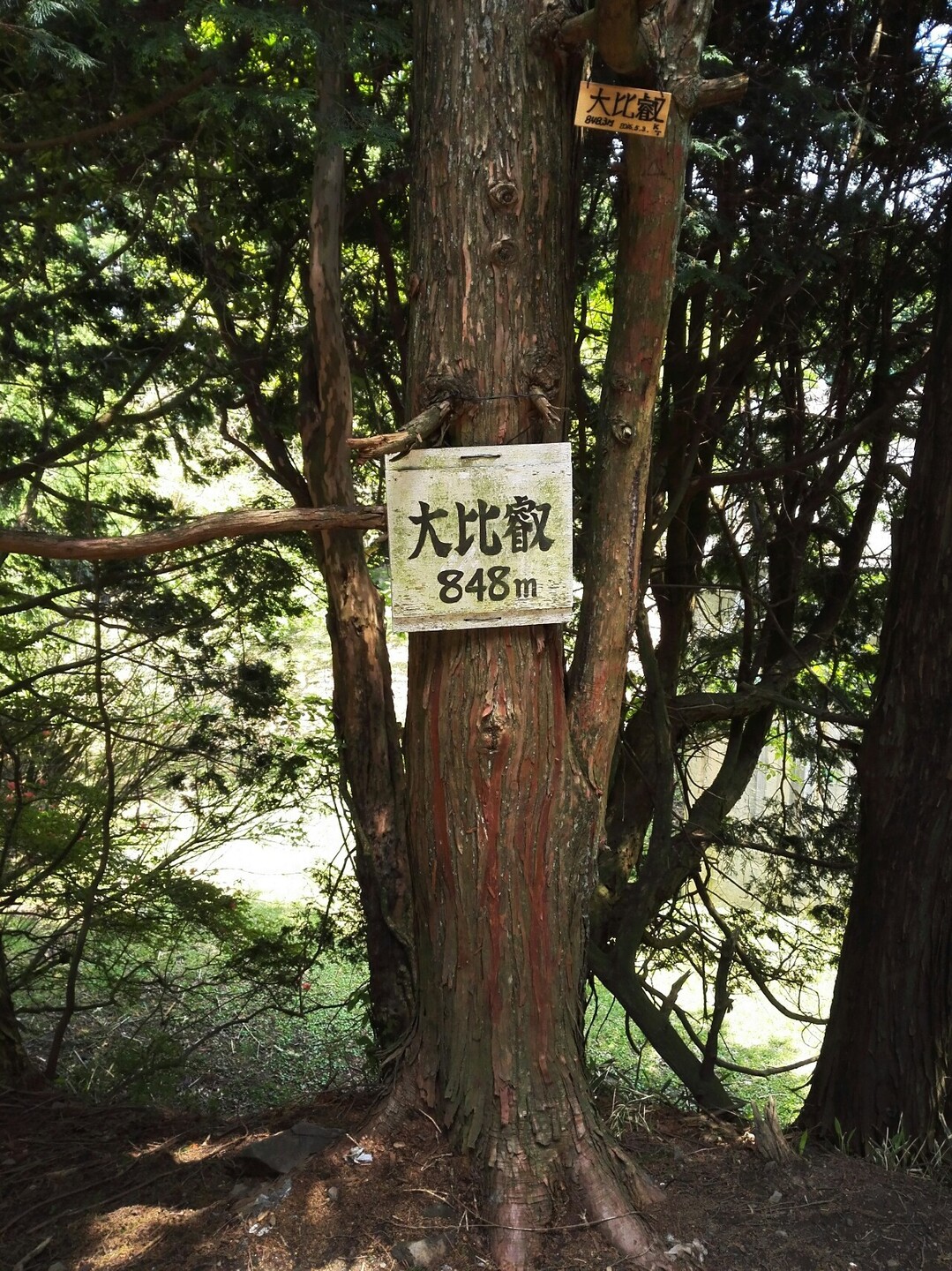 比叡山縦走 / you-ki ゆうきさんの比叡山・横高山・梶山の活動データ | YAMAP / ヤマップ