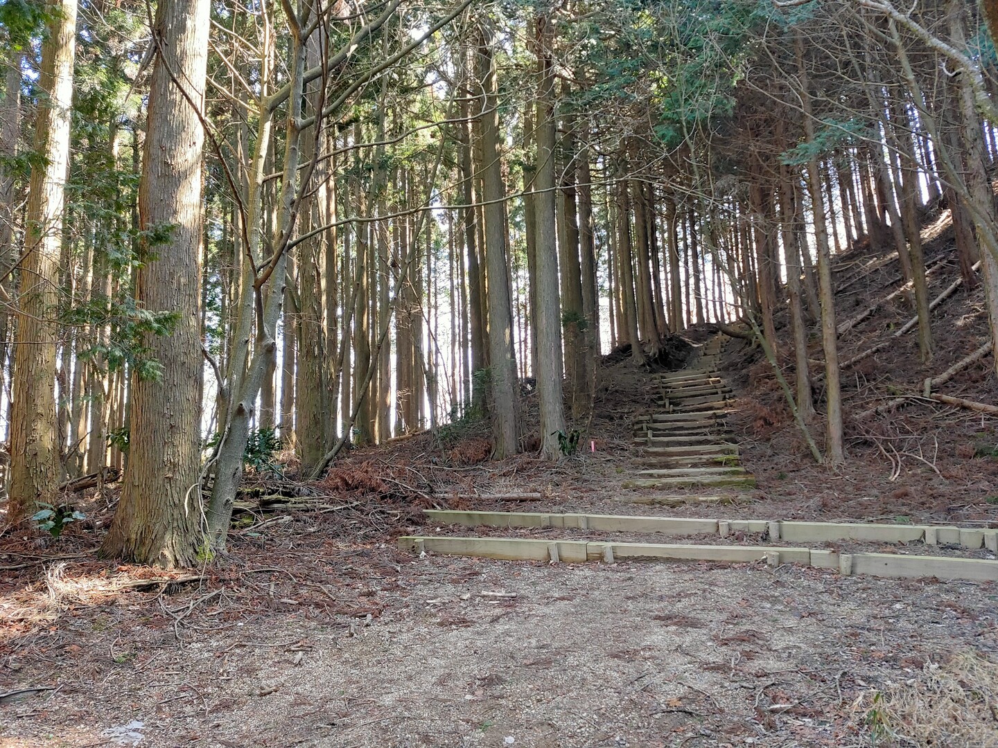 matahari88さんの投稿したフィールドメモ | YAMAP / ヤマップ