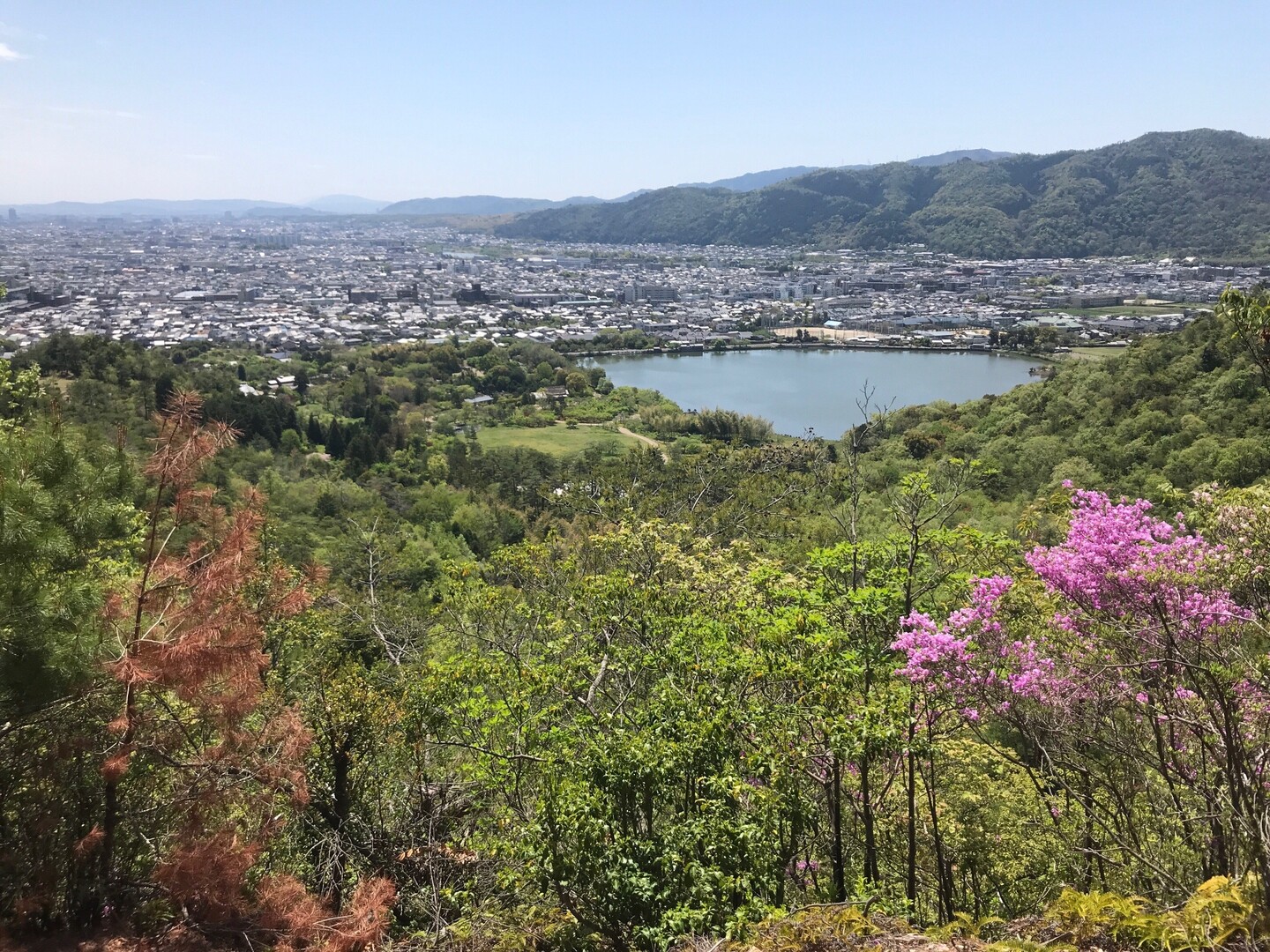 ぷーさん5646さんの投稿したフィールドメモ | YAMAP / ヤマップ