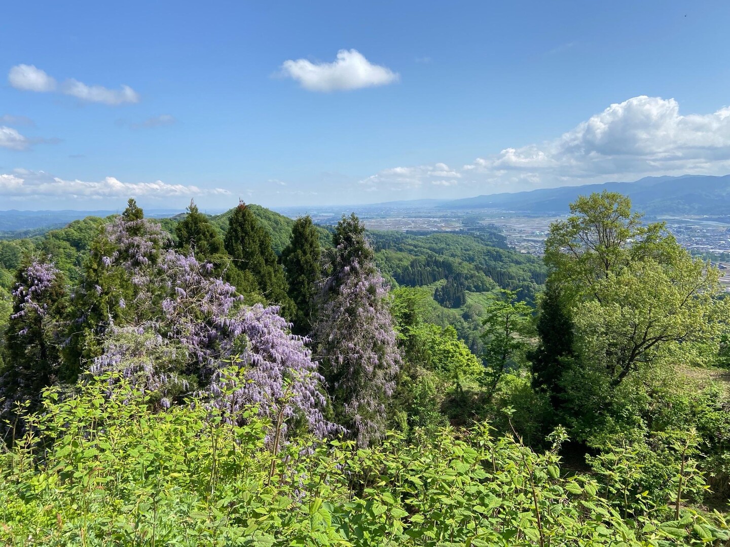 城山 / nobさんの時水城山・丸山の活動データ | YAMAP / ヤマップ