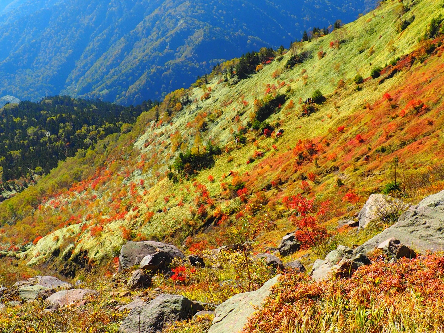 焼岳（北峰） / sensaさんの槍ヶ岳・穂高岳・上高地の活動データ | YAMAP / ヤマップ