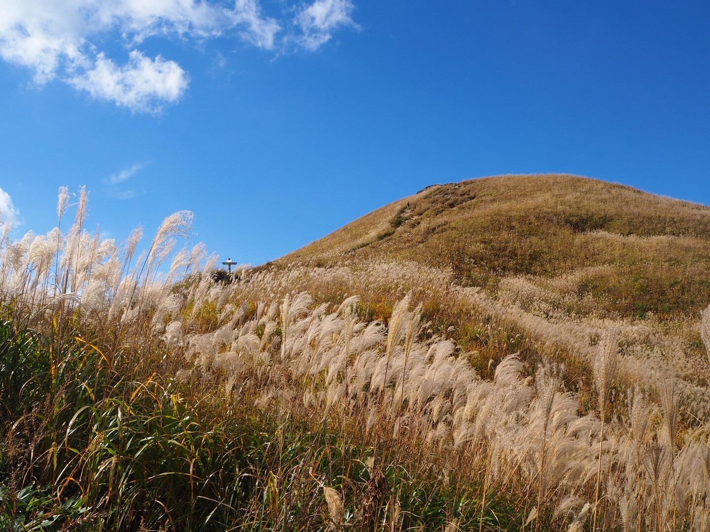深入山 / iwaさんの深入山の活動データ | YAMAP / ヤマップ